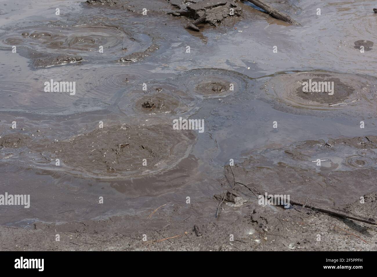 Volcanic mud in Sulawesi Island, Indonesia Stock Photo - Alamy