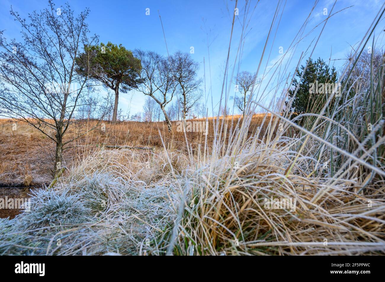 Dovestone reservoir greenfield peak district hi-res stock photography ...
