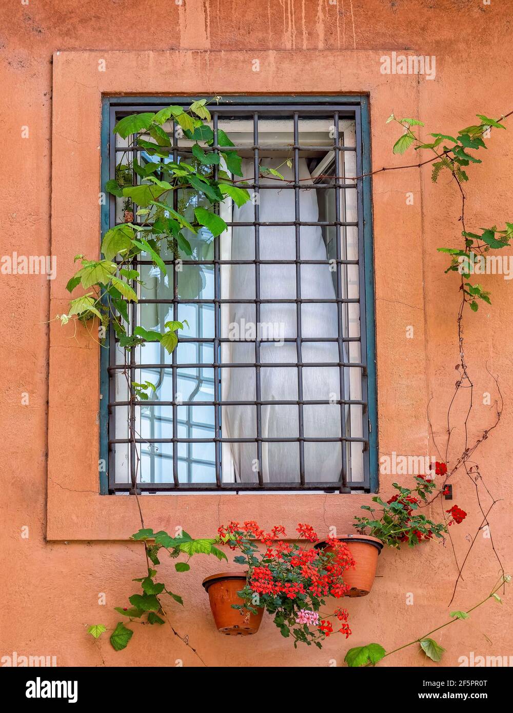 Iron railings in front house hi-res stock photography and images - Alamy
