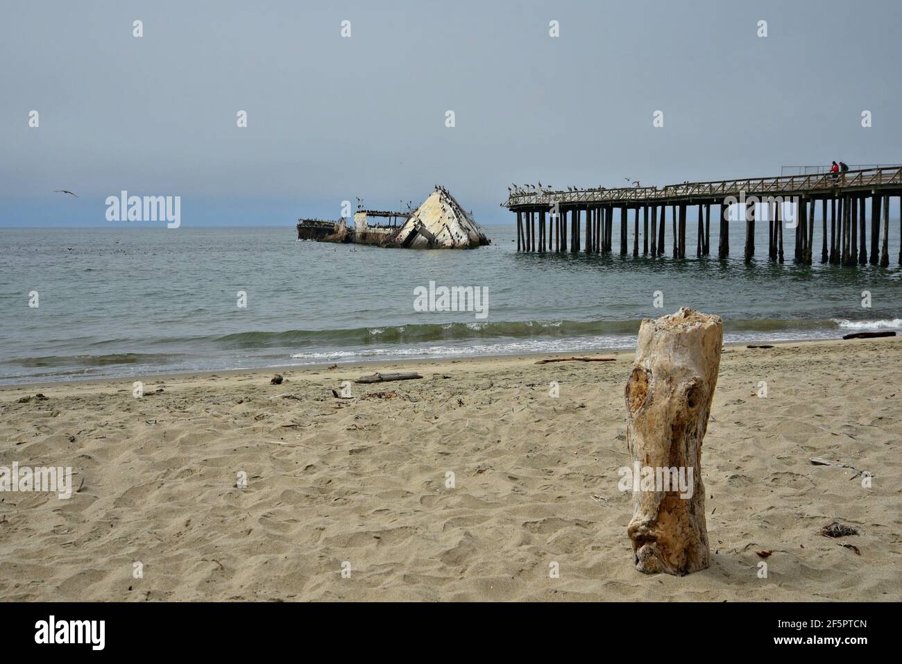 Landscape with view of Seacliff Beach wooden Pier and SS Palo Alto a ...
