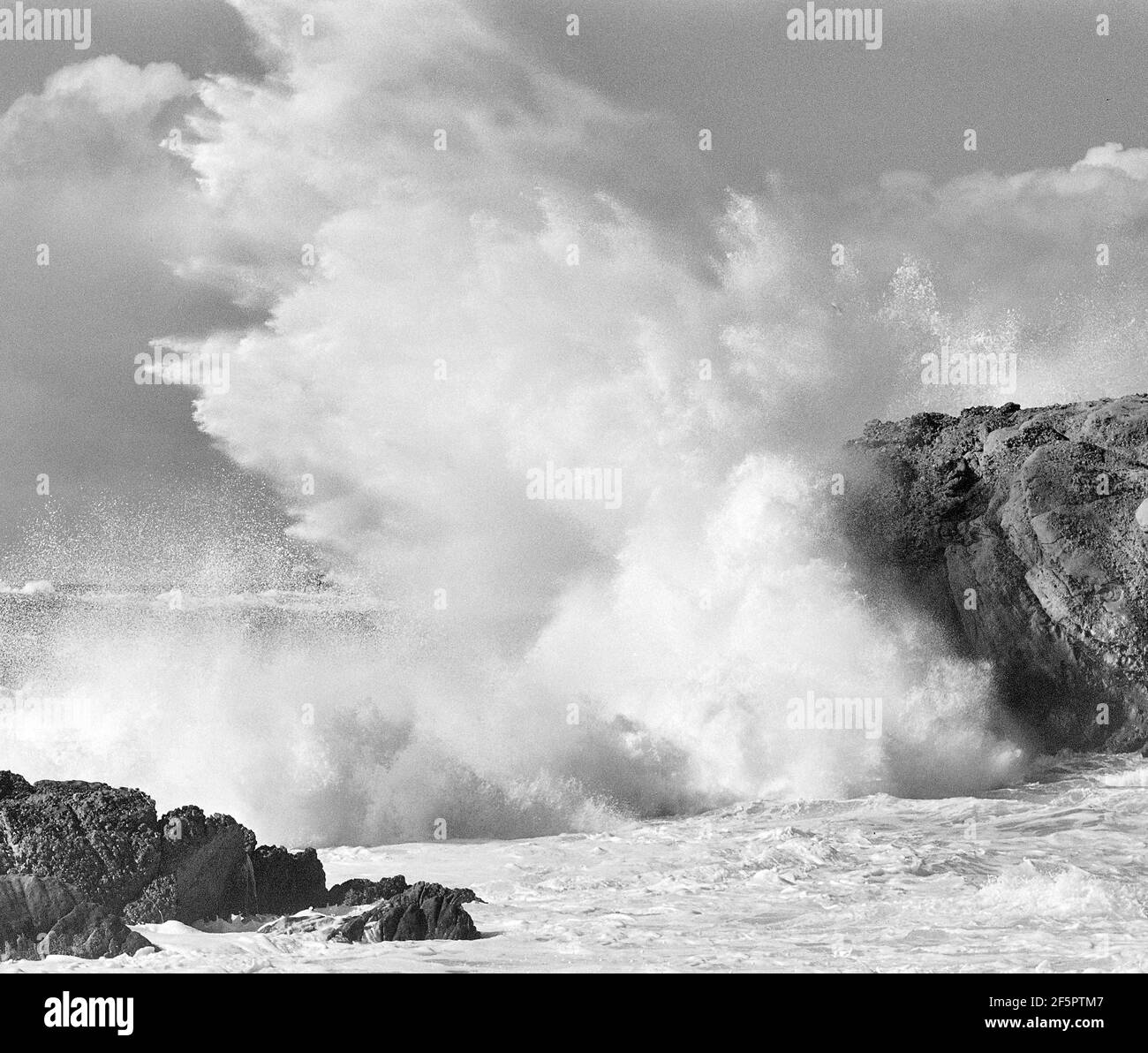 The South Shore, Point Lobos State Natural Reserve Stock Photo - Alamy