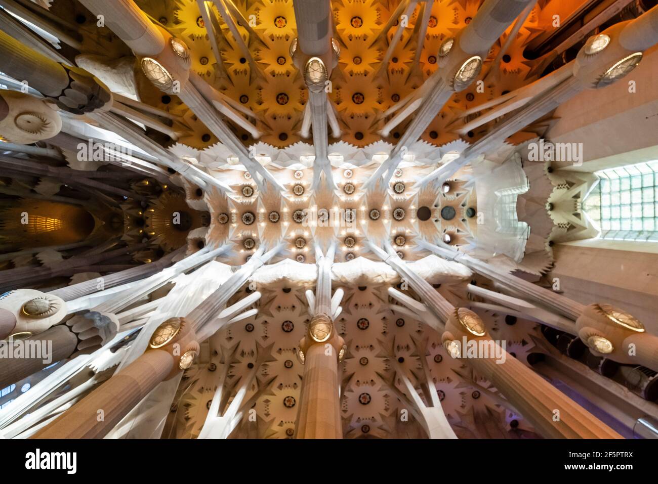 Basílica de la Sagrada Familia; (Basilica of the Holy Family),architect ...