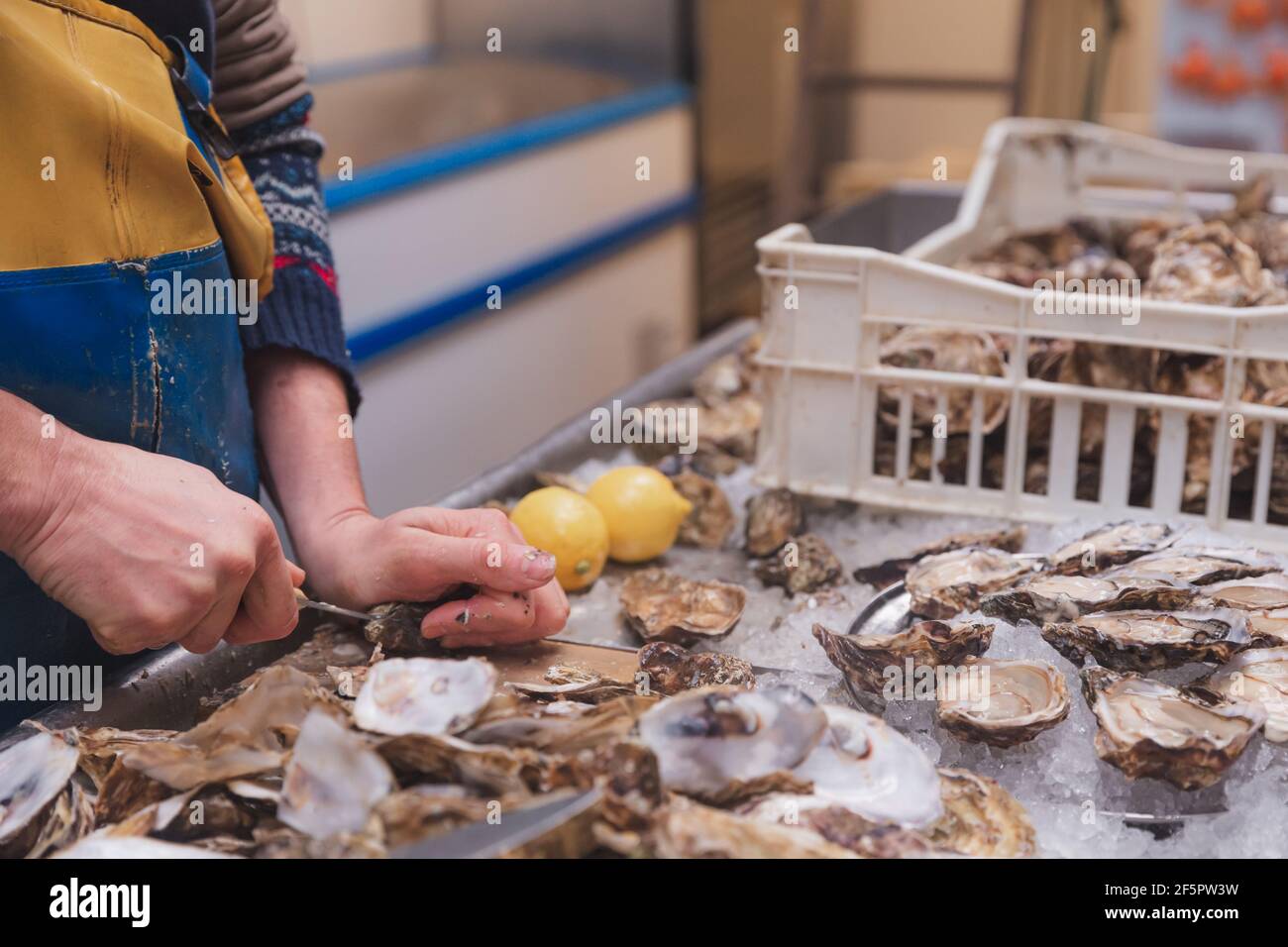 Close-up a seafood vendor or fishmonger shucking fresh oysters on the ...