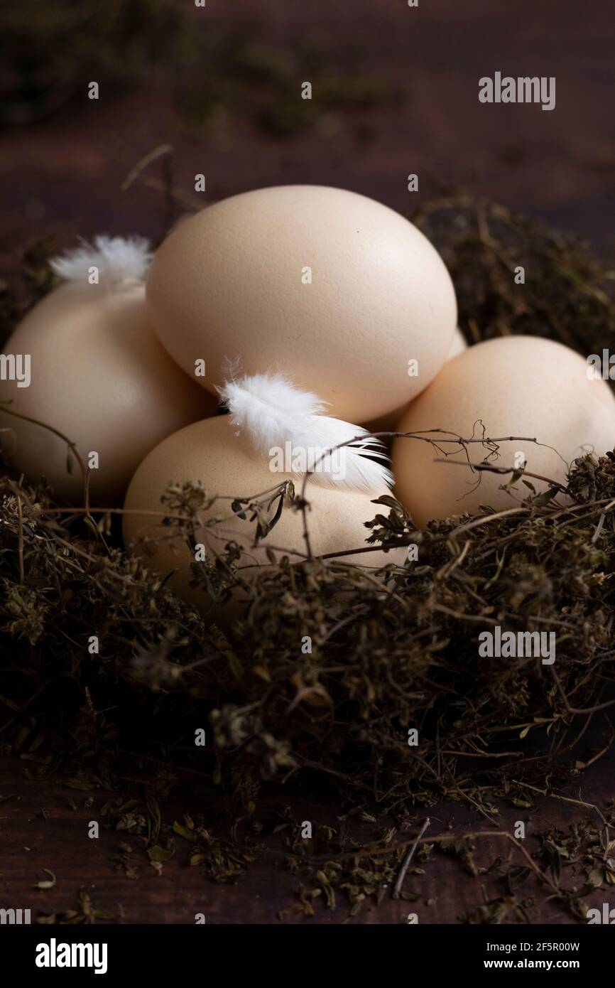Conceptual still-life with hen eggs in nest over dark background Stock ...