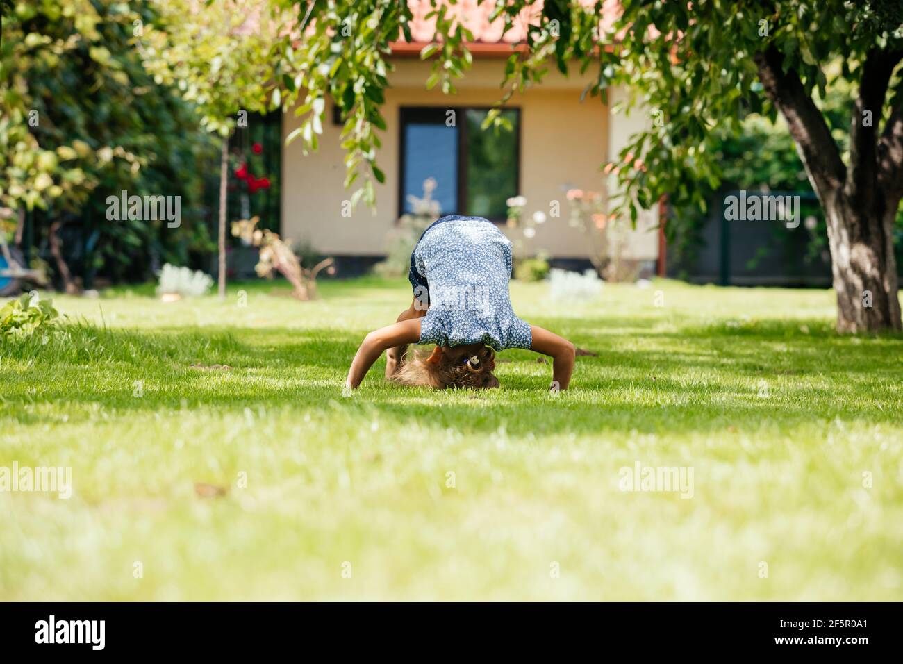 Active little girl makes a somersault on the backyard Stock Photo - Alamy