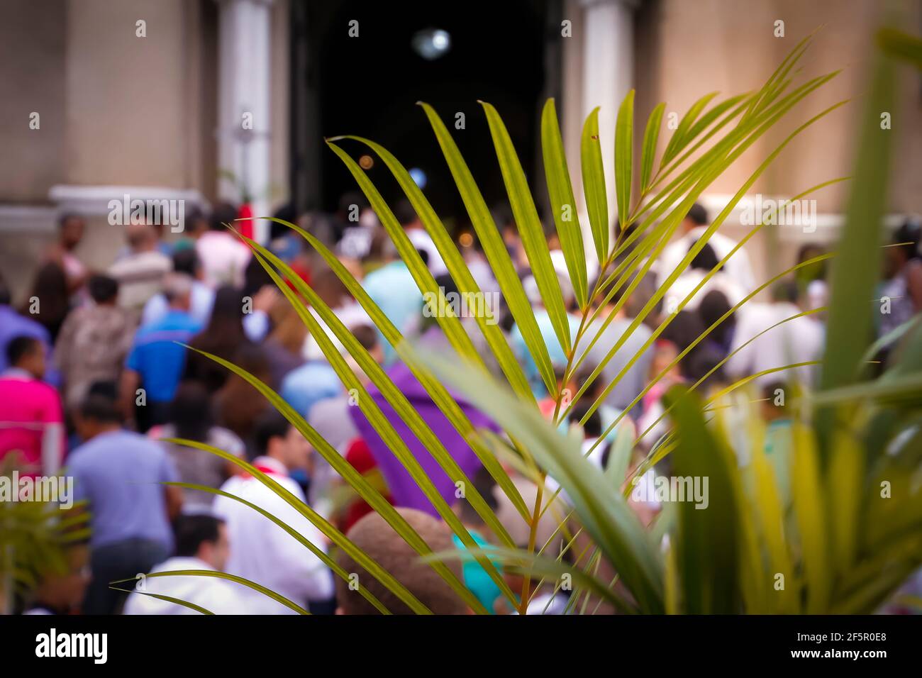 Holy Week. Traditional Catholic celebrate Palm Sunday. Christian faith ...