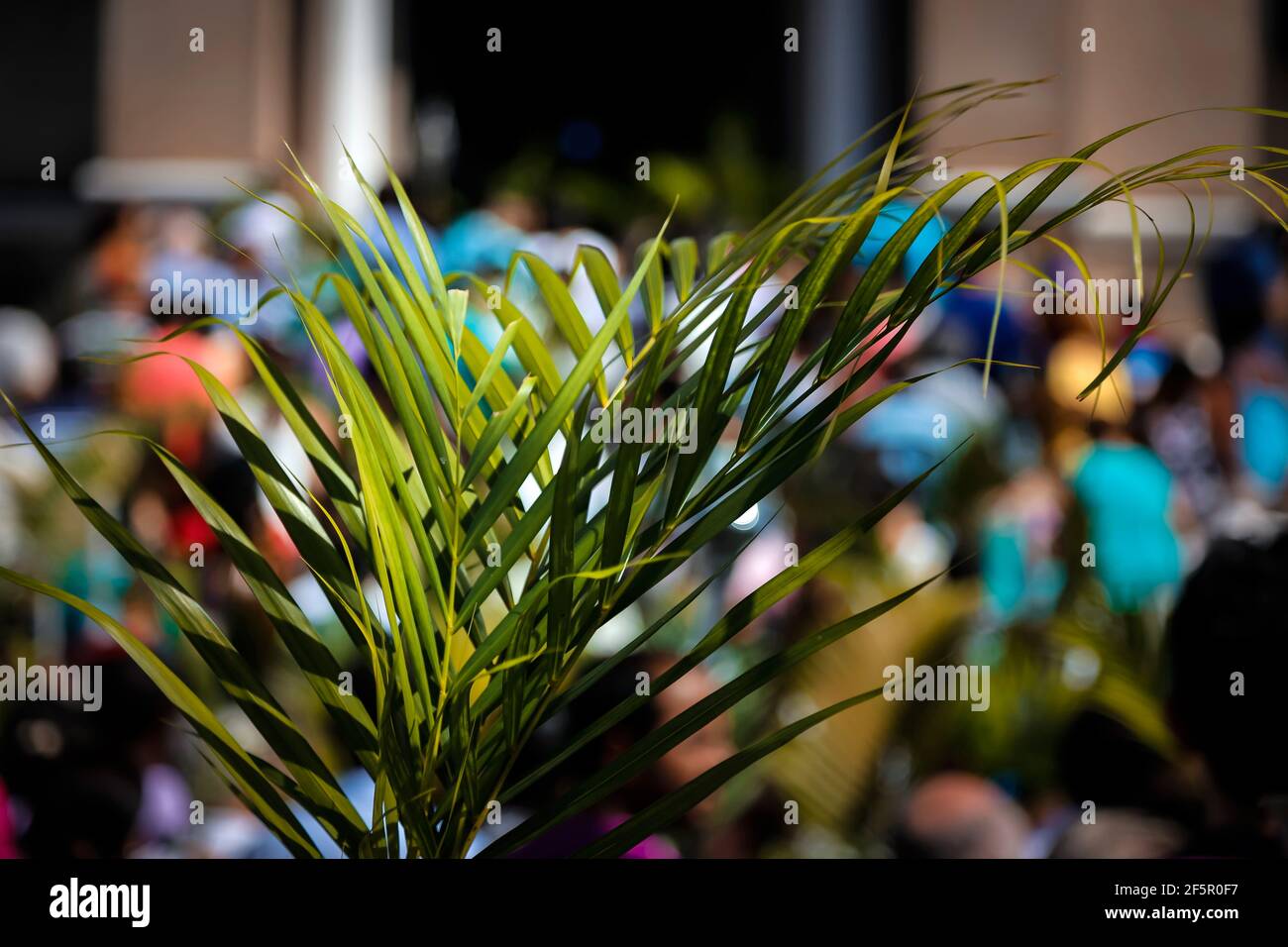 Holy Week. Traditional Catholic celebrate Palm Sunday. Christian faith ...
