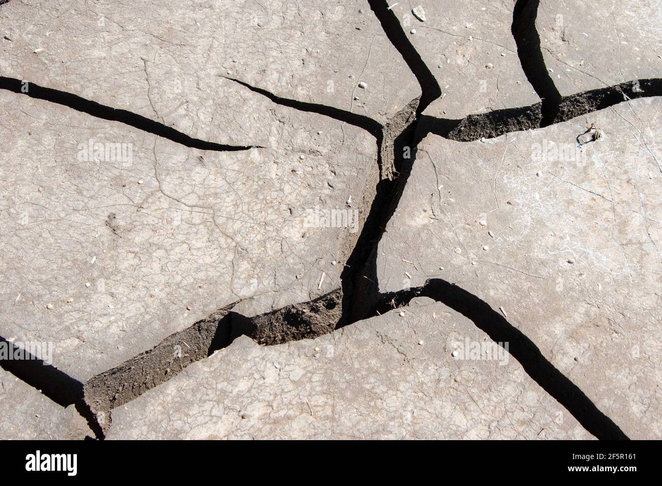 Cracks in dried mud Stock Photo - Alamy