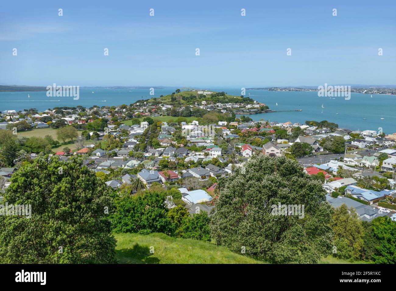 Harbourside suburb of auckland hi-res stock photography and images - Alamy