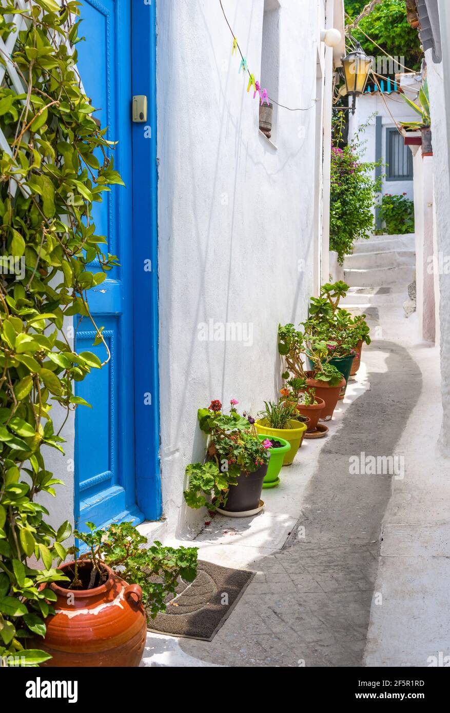 Typical mediterranean walkway with plants hi-res stock photography and ...
