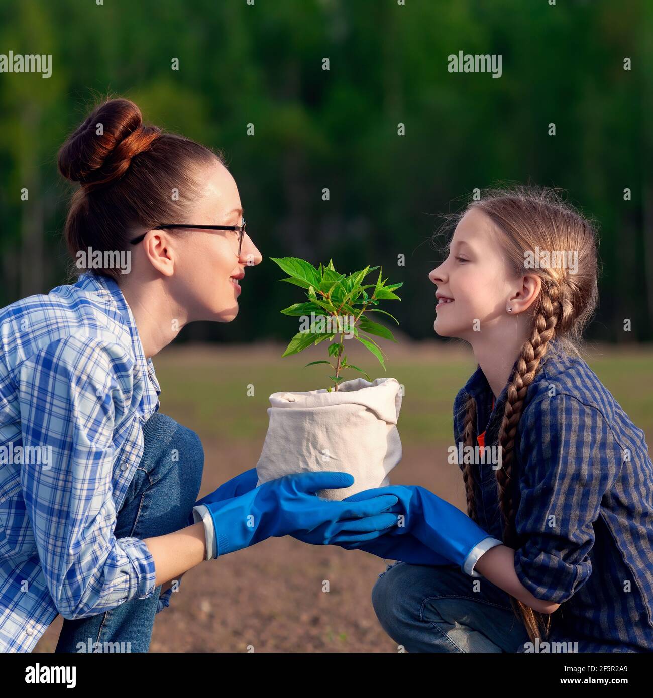 Parent plant hi-res stock photography and images - Alamy