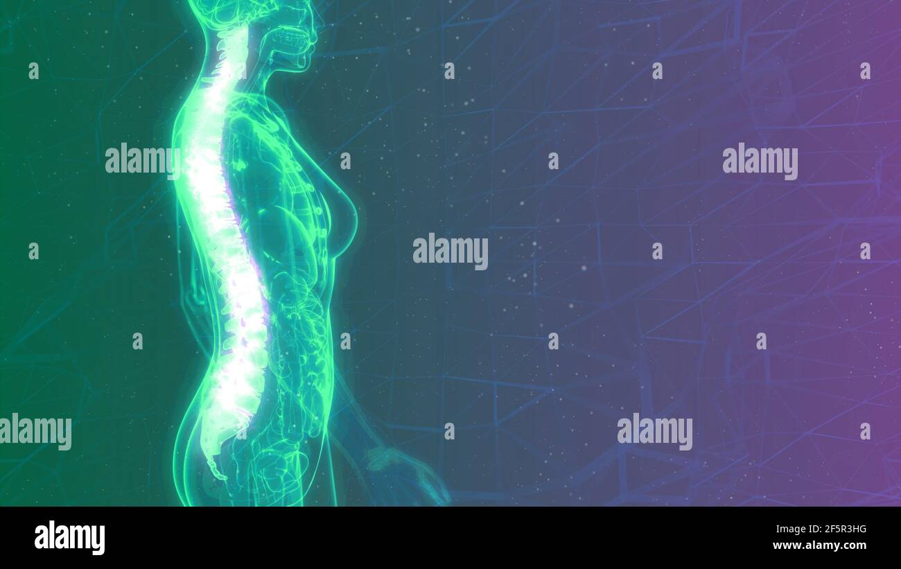 backbone on x-ray human body, cg medicine 3d illustration Stock Photo ...