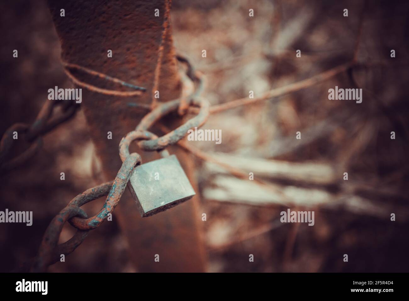 Old rusty castle on the rusty gate Stock Photo - Alamy