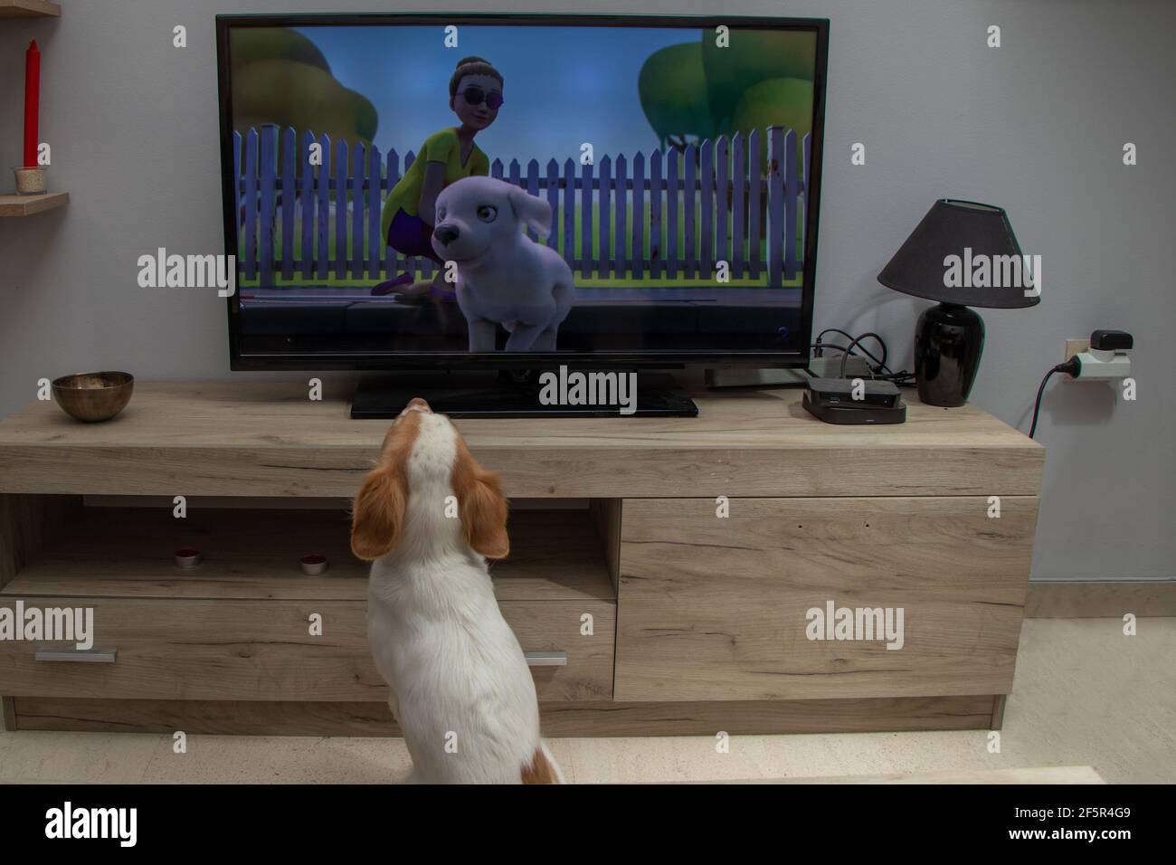 Cartoon Happy Dog High Resolution Stock Photography and Images - Alamy