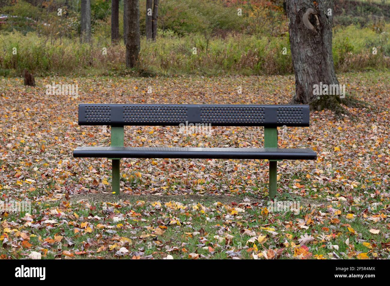 Empty bench nature hi-res stock photography and images - Alamy