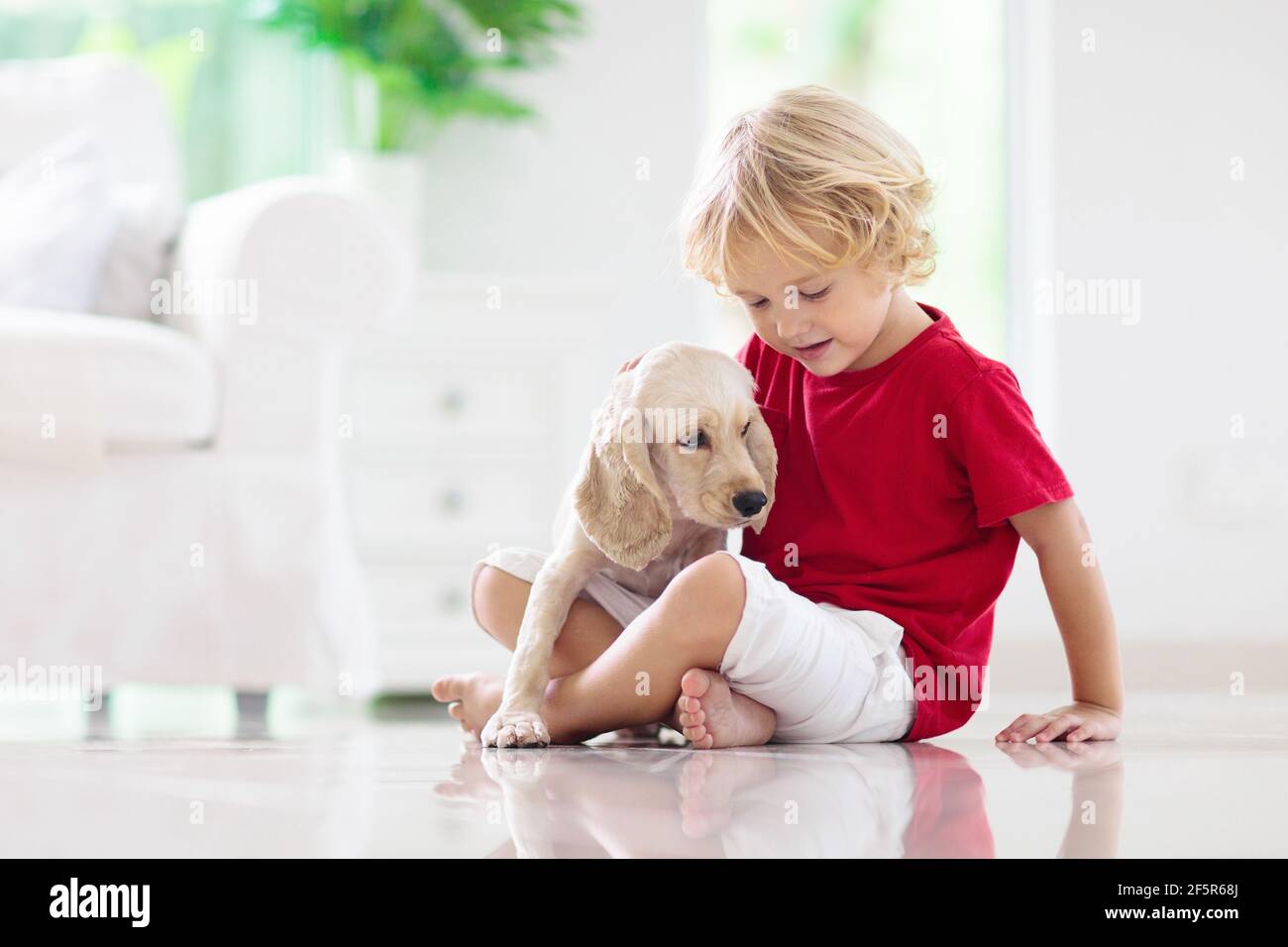 Cocker spaniel puppy children hi-res stock photography and images - Alamy