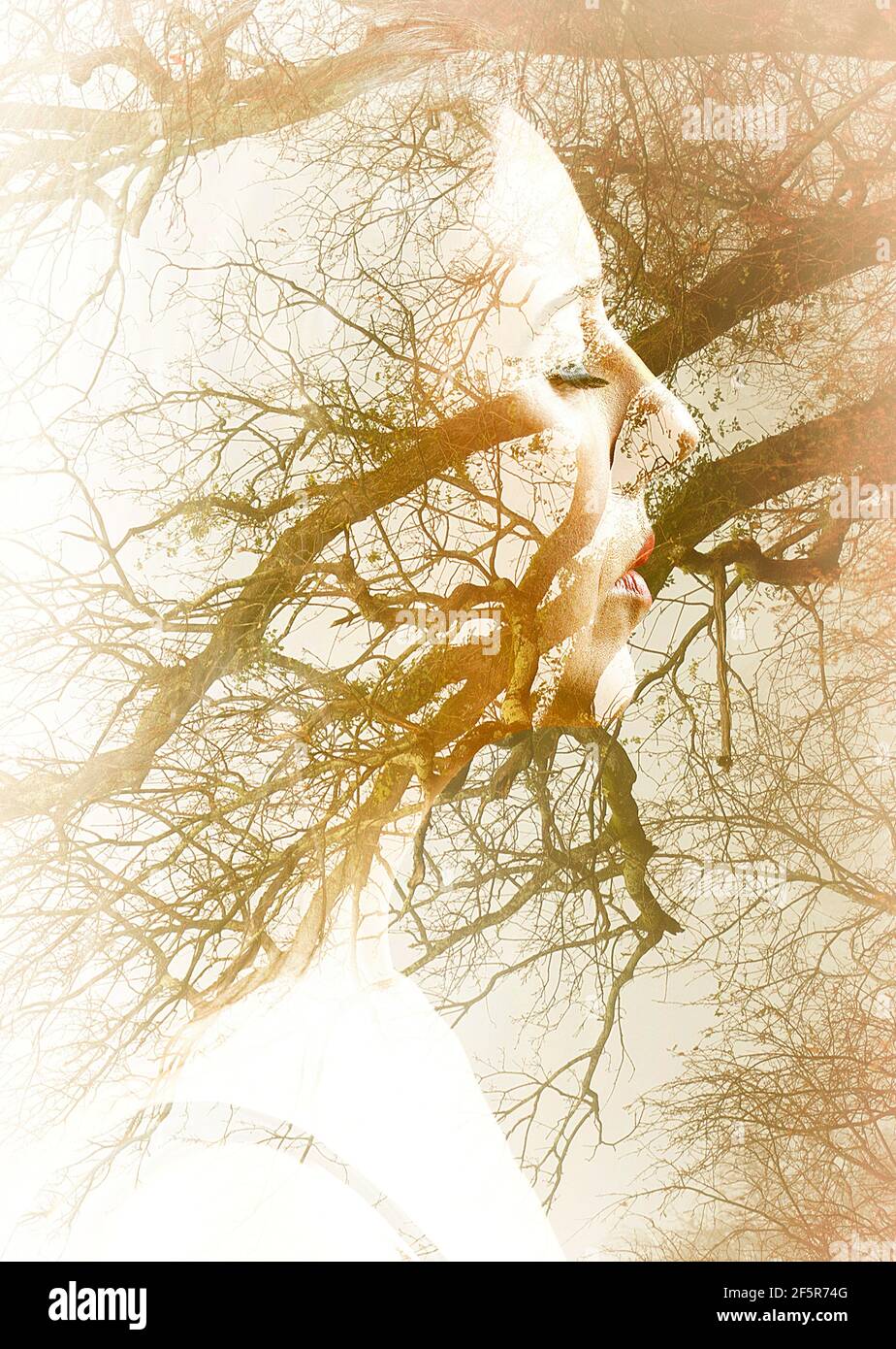 Hugh Tree High Resolution Stock Photography and Images - Alamy