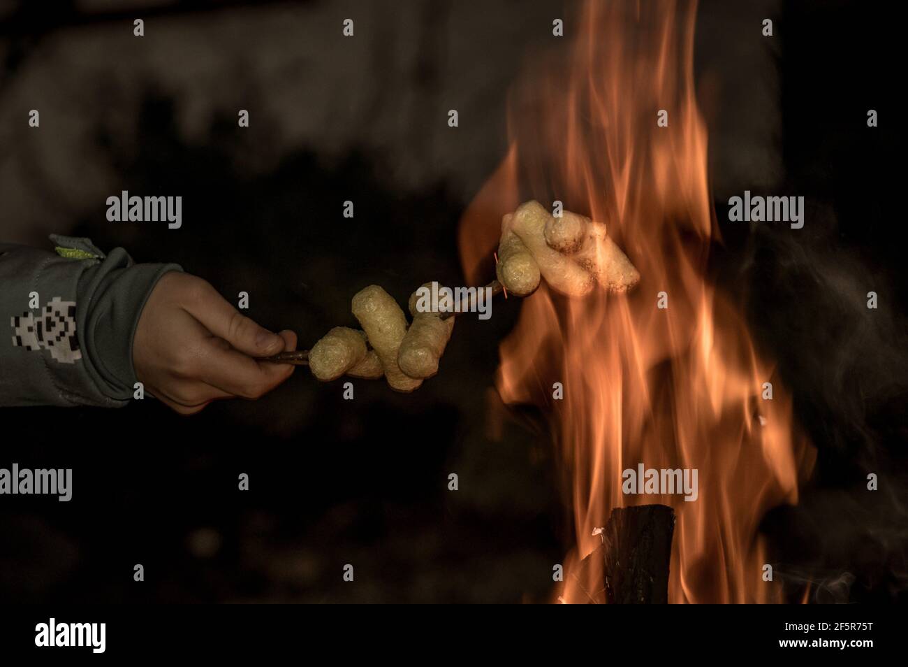 Person heating marshmallows on the fire Stock Photo - Alamy