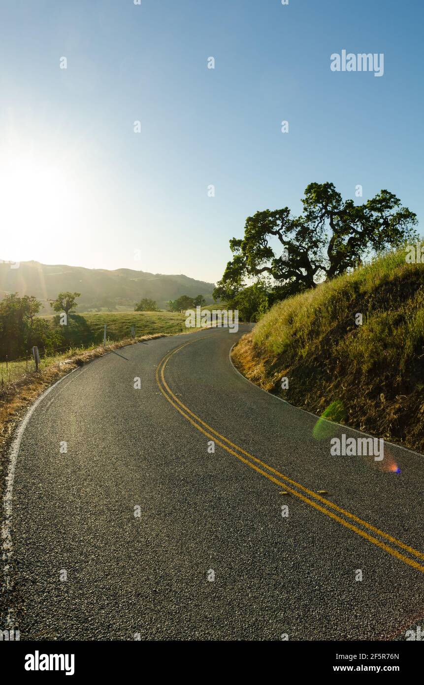 Big green hill with tree hi-res stock photography and images - Alamy