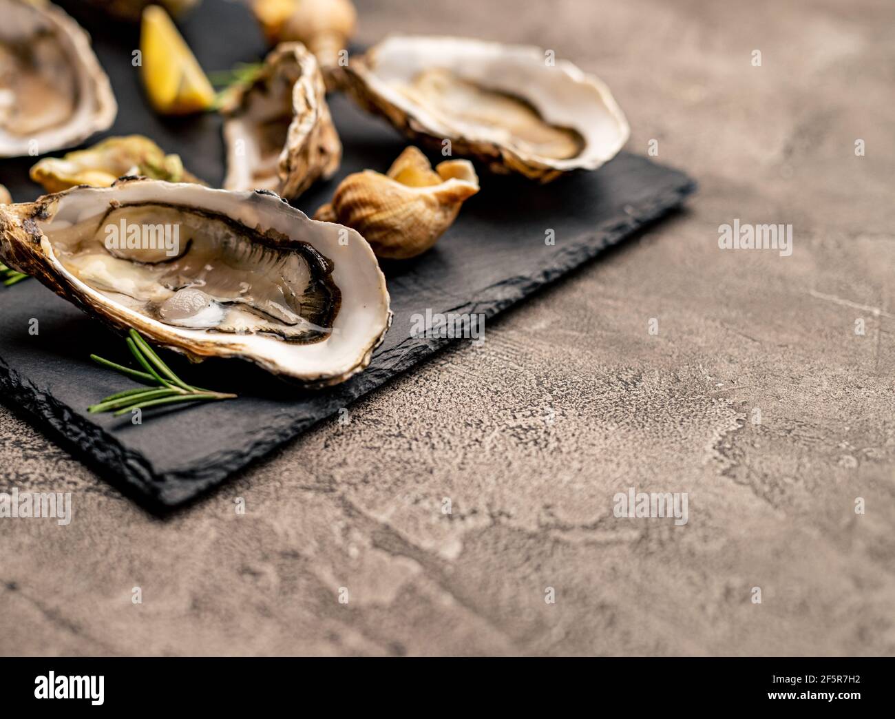 Snails sea food hi-res stock photography and images - Alamy