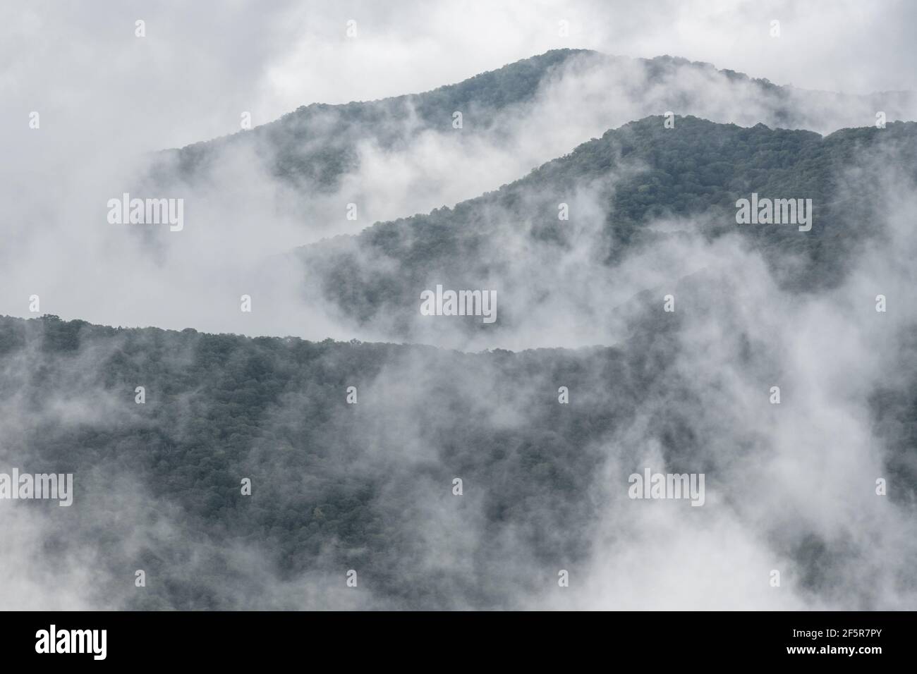 Three Ridges and Fog in Great Smoky Mountains National Park Stock Photo ...