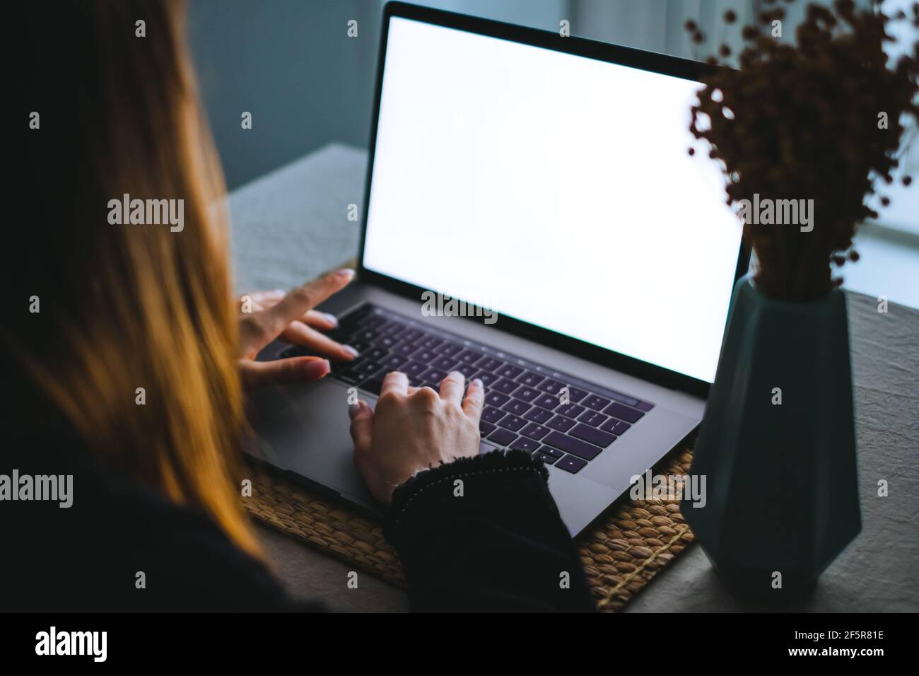 Young woman use laptop computer with white blank screen, mockup, typing ...