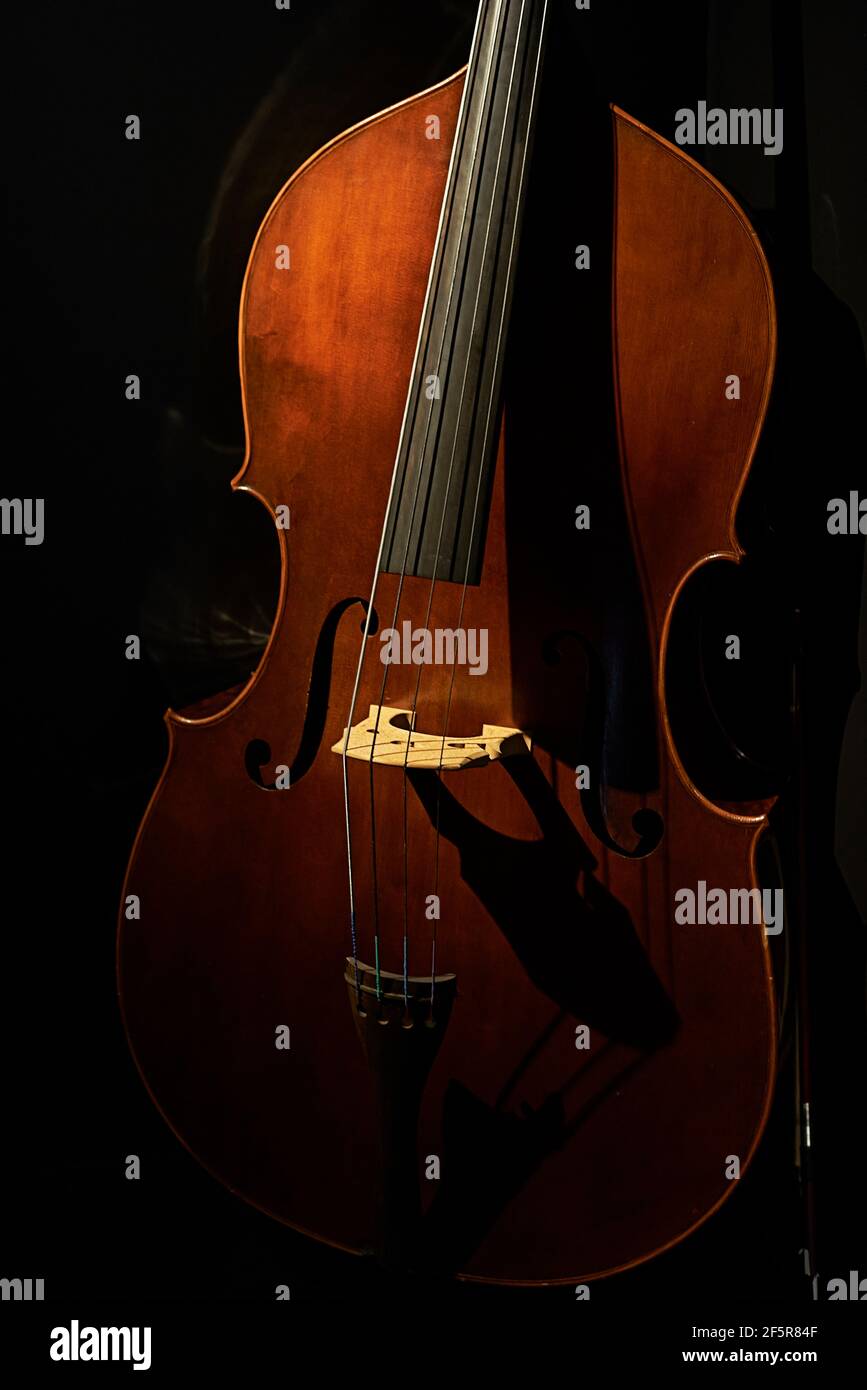 Close-up of a cello, against a black background, Single object only ...