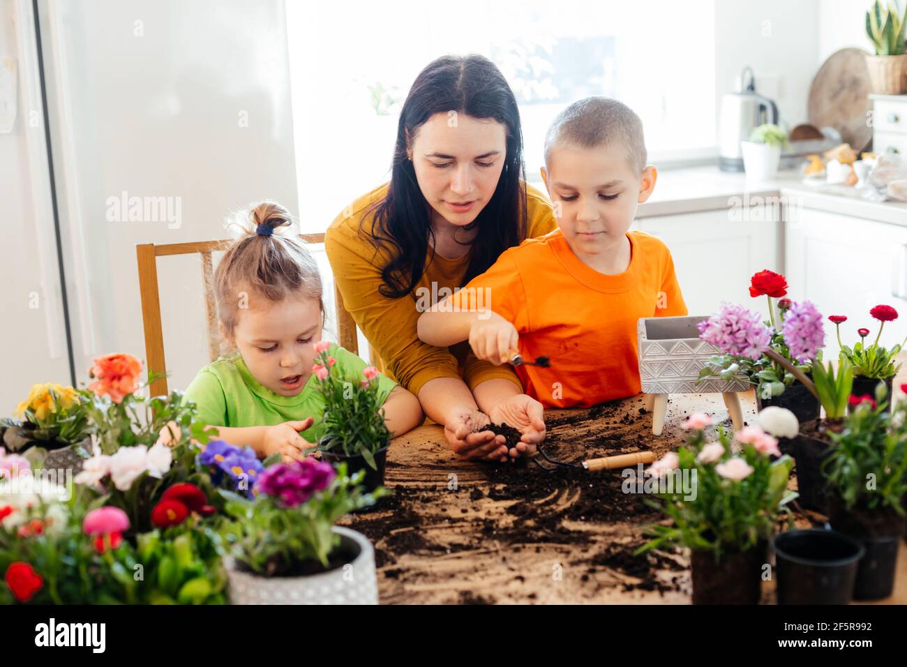 Patience is important feature while teaching kids at home Stock Photo ...