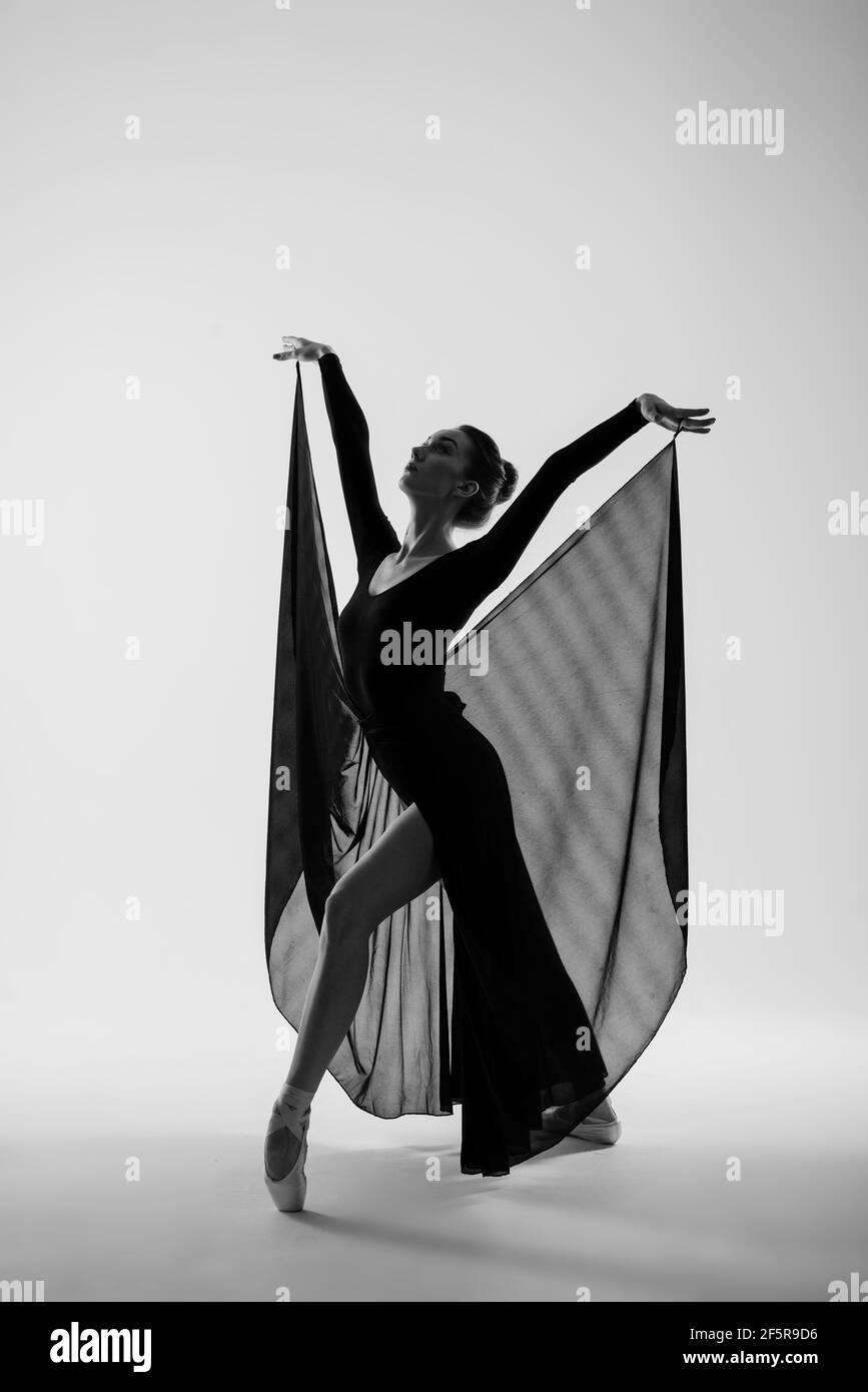 Modern style ballet dancer posing on a studio background Stock Photo ...