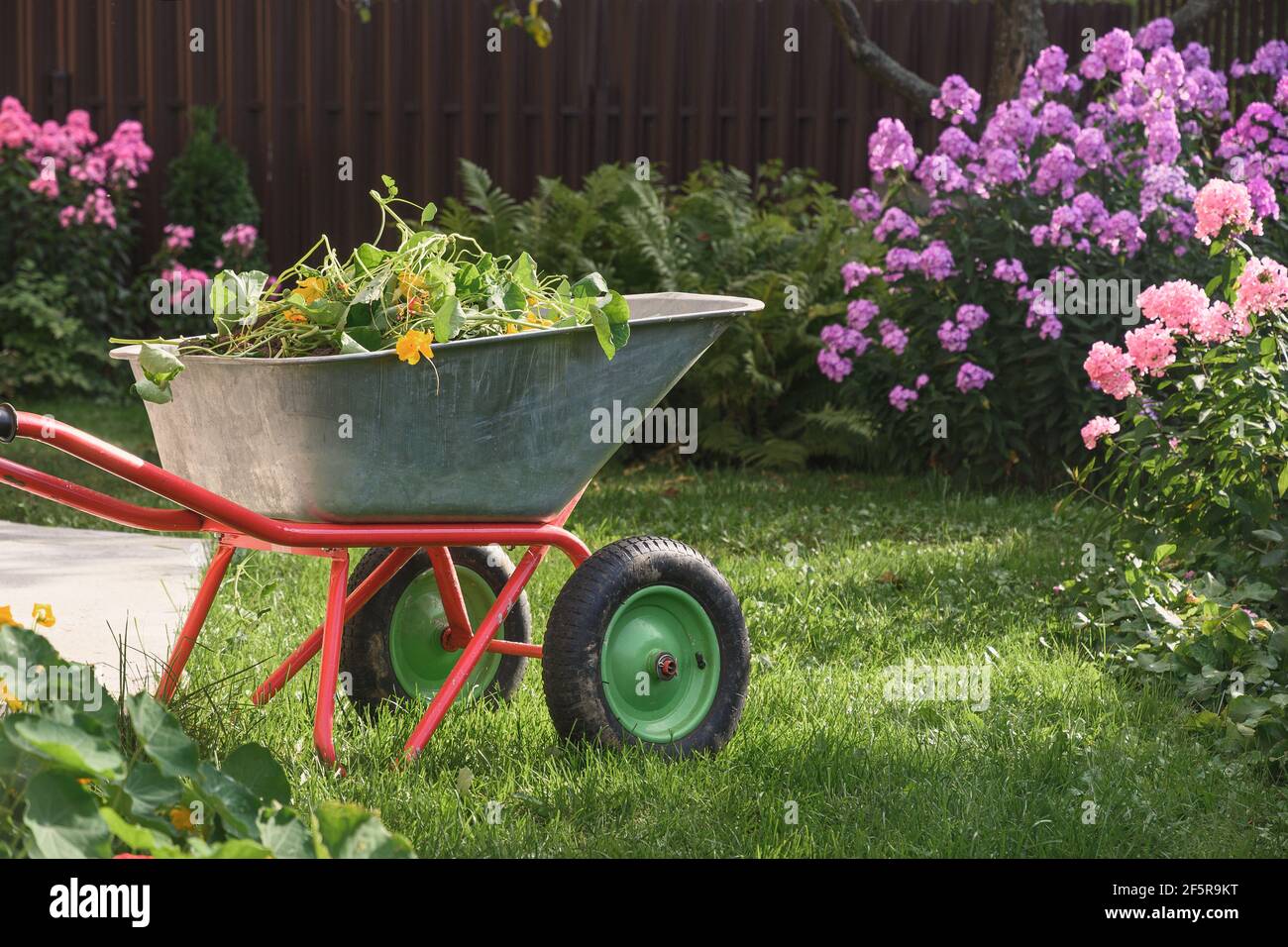 Wheelbarrow full of humus and compost on green lawn with well-groomed ...