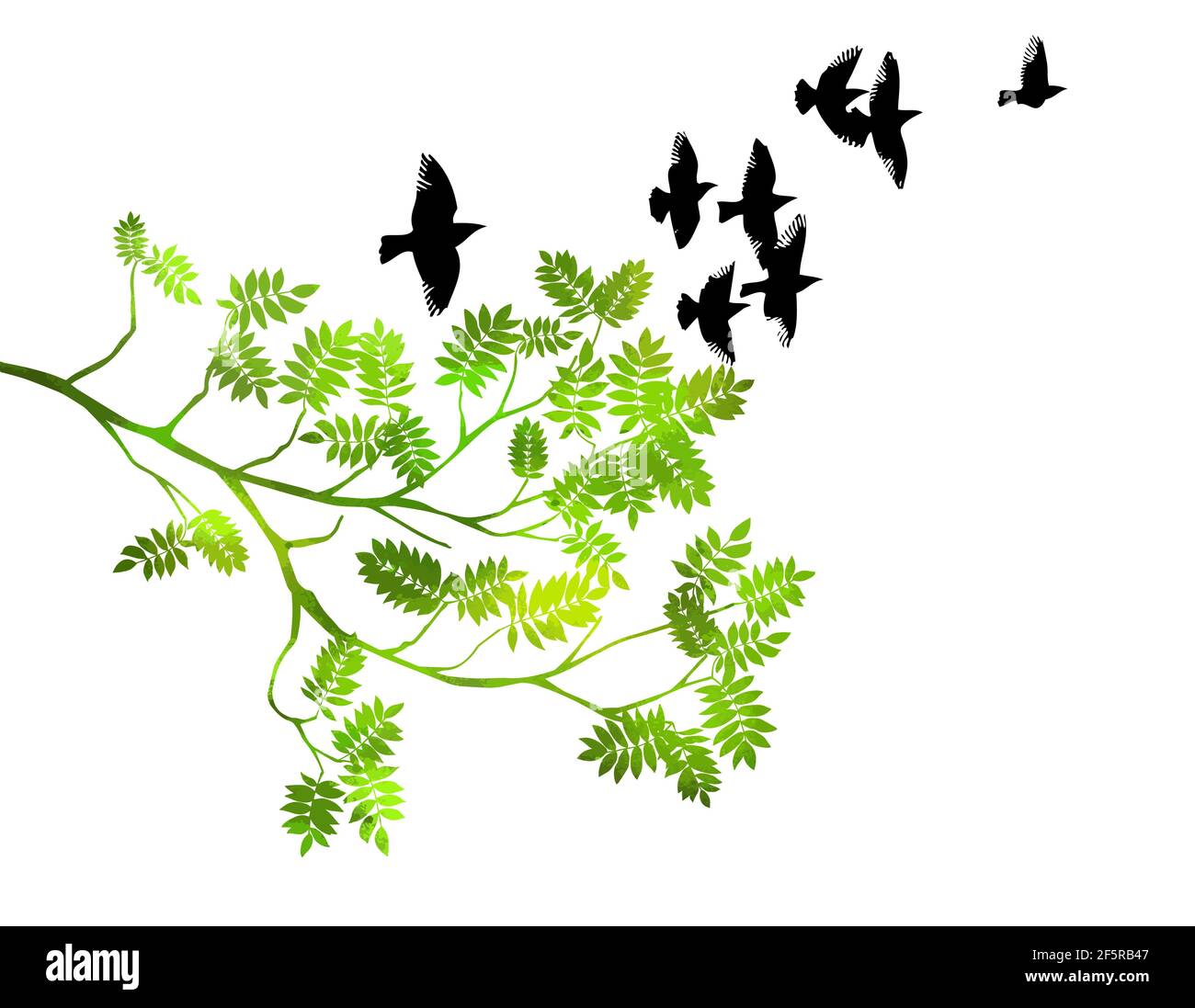 Summer tree branch with fresh green leaves and Flying birds. Vector ...