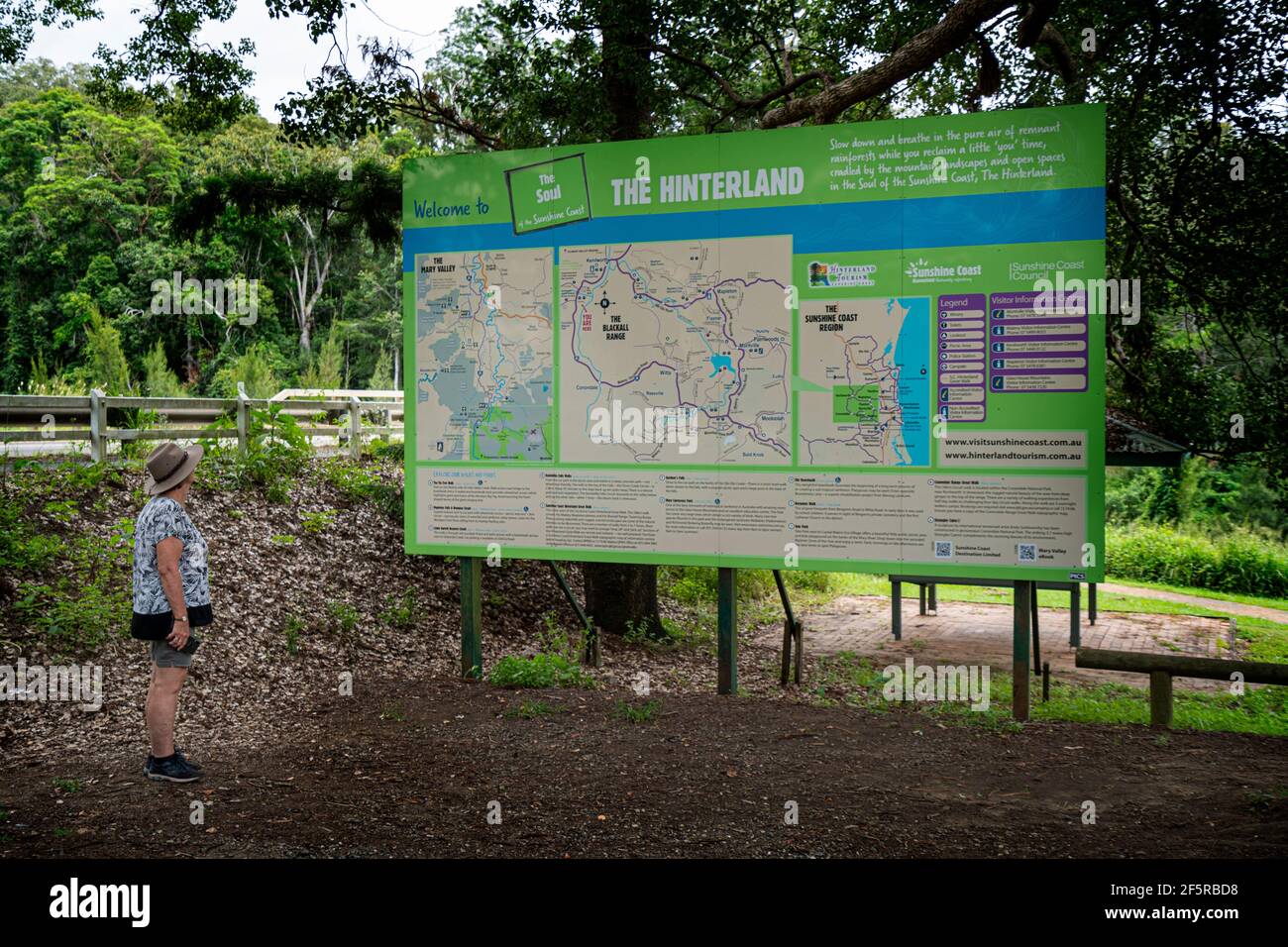 Person looking at information board at start of Fig Tree Circuit, Imbil ...