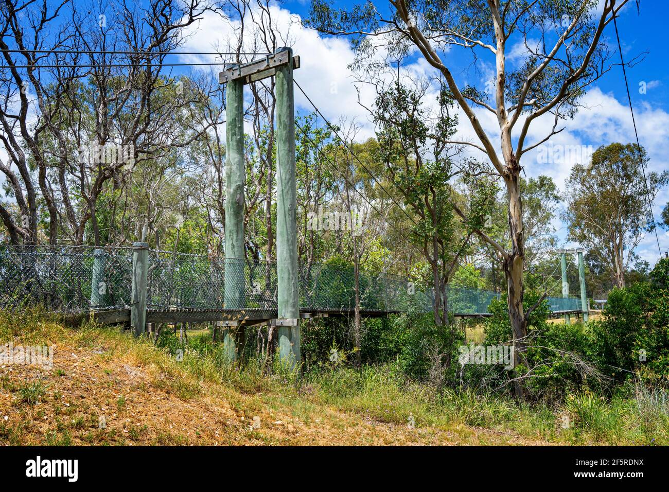Swinging trees hi-res stock photography and images - Alamy