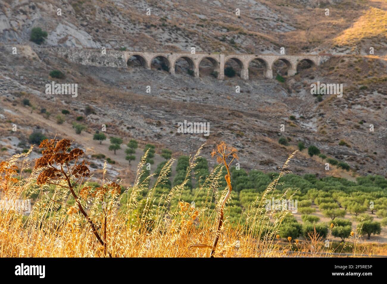 Summer Sicilian landscape including an old aqueduct part of the mining ...