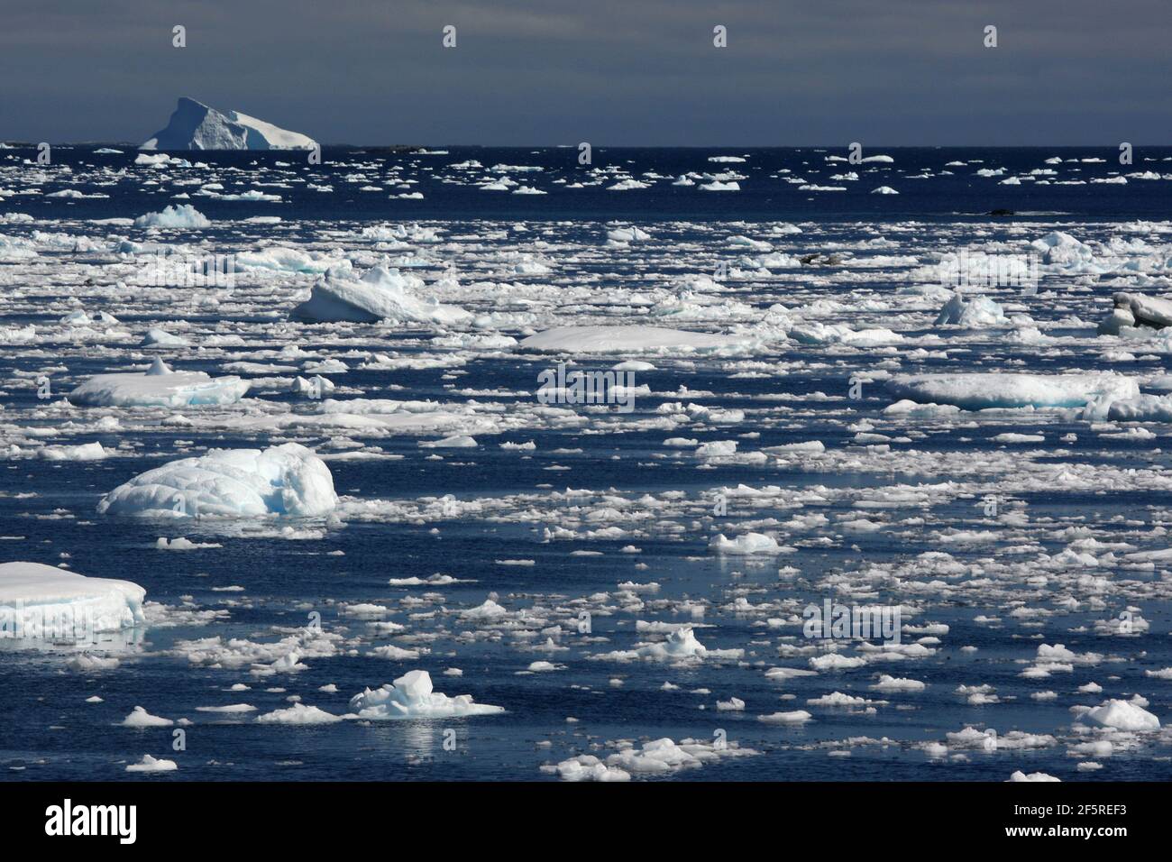 Melting ice. Floating ice blocks in Antarctica Stock Photo - Alamy