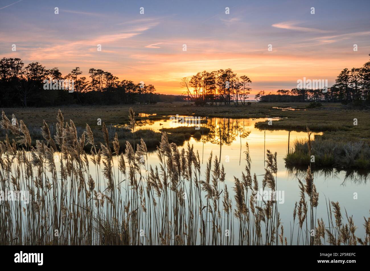 Sunset and Golden Hour in Chincoteague National Park, Virginia, USA ...