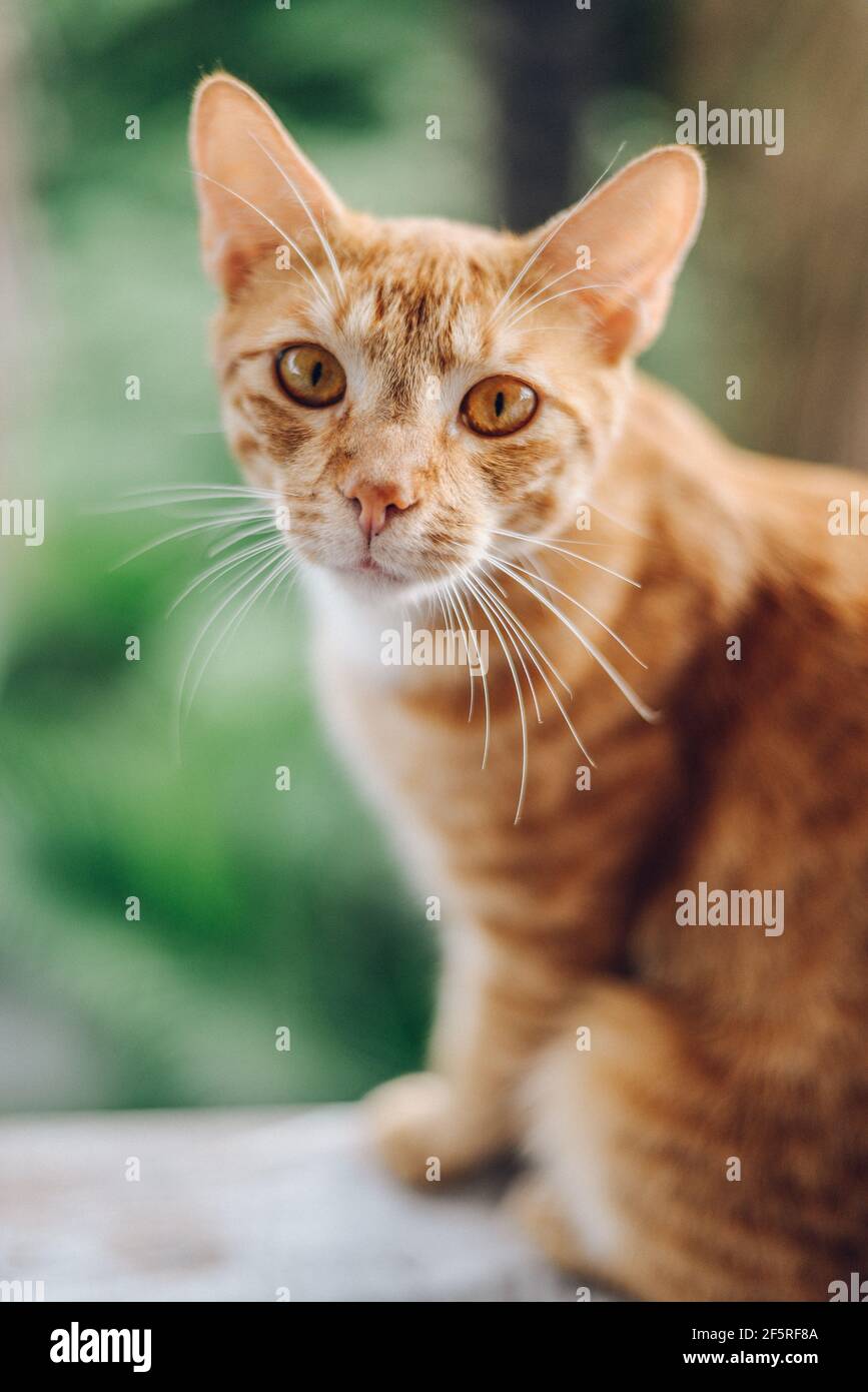 Look an the camera hi-res stock photography and images - Alamy