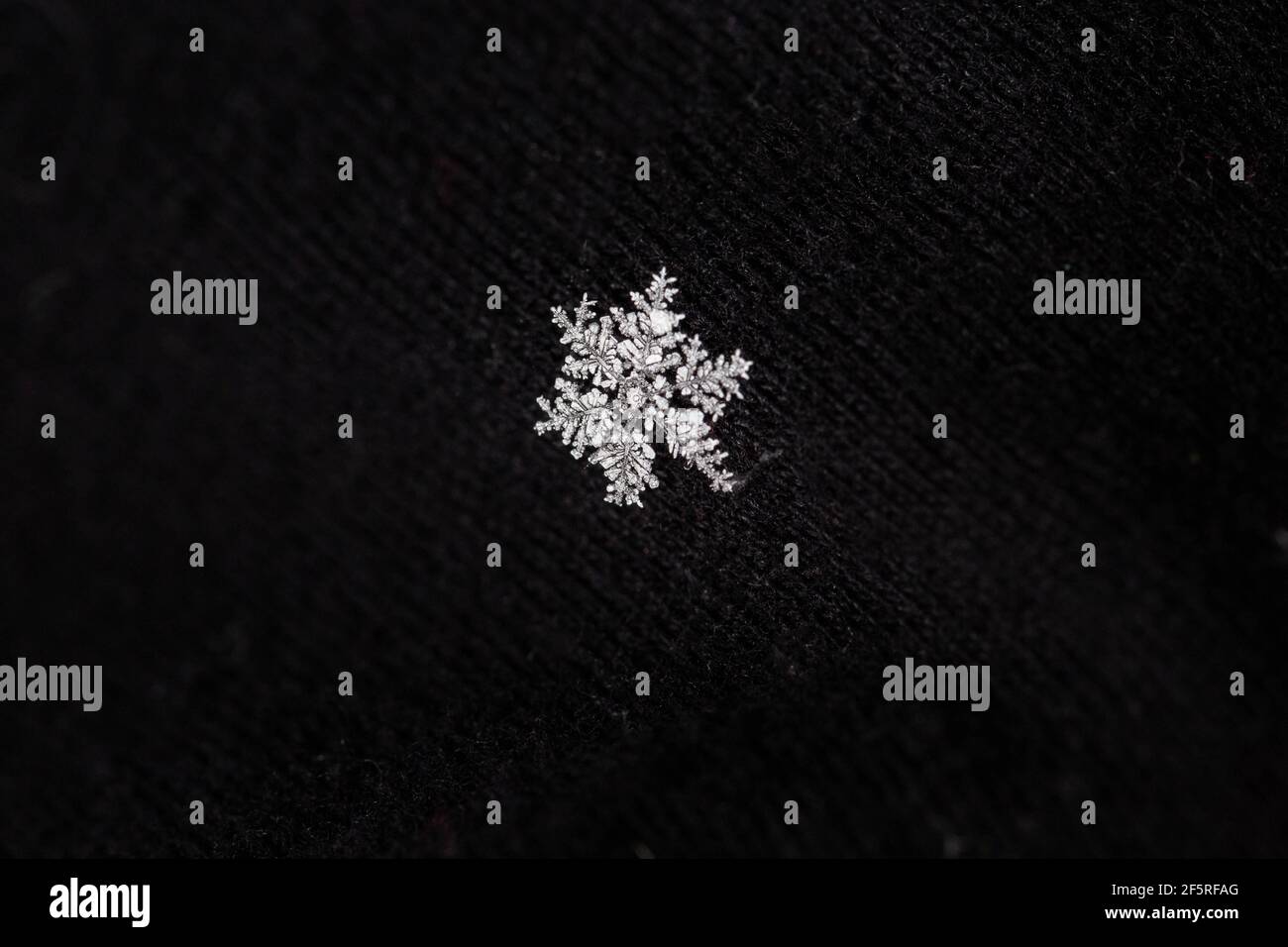 Single snowflake hi-res stock photography and images - Alamy