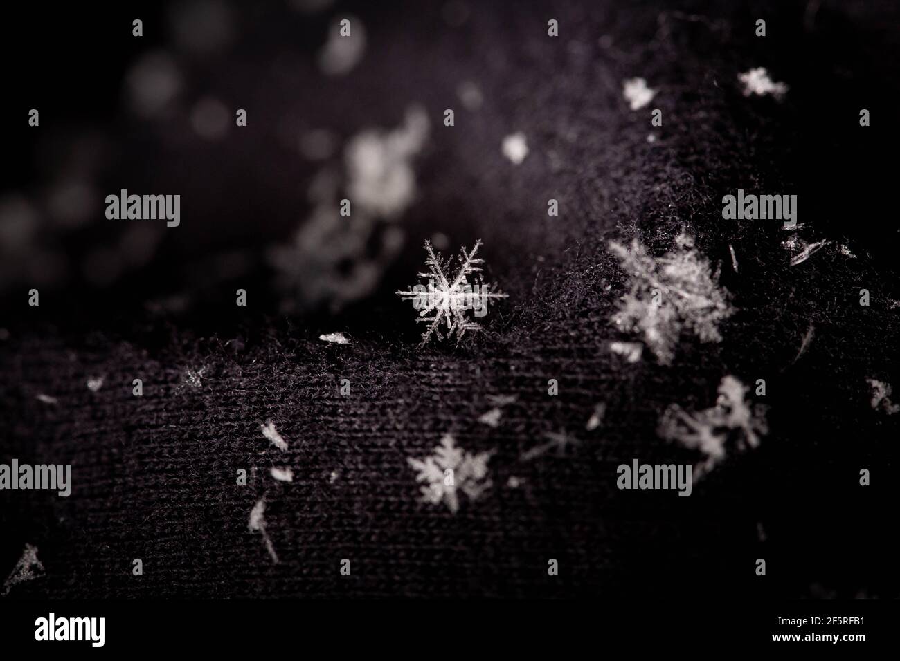 Snowflakes up close hi-res stock photography and images - Alamy