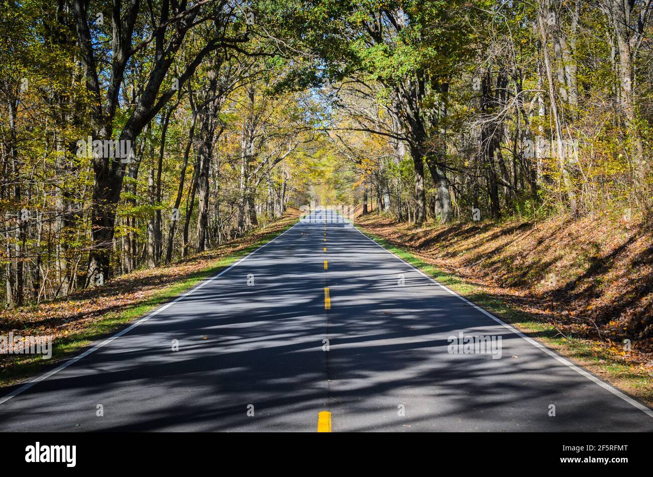 Empty road with trees hi-res stock photography and images - Alamy