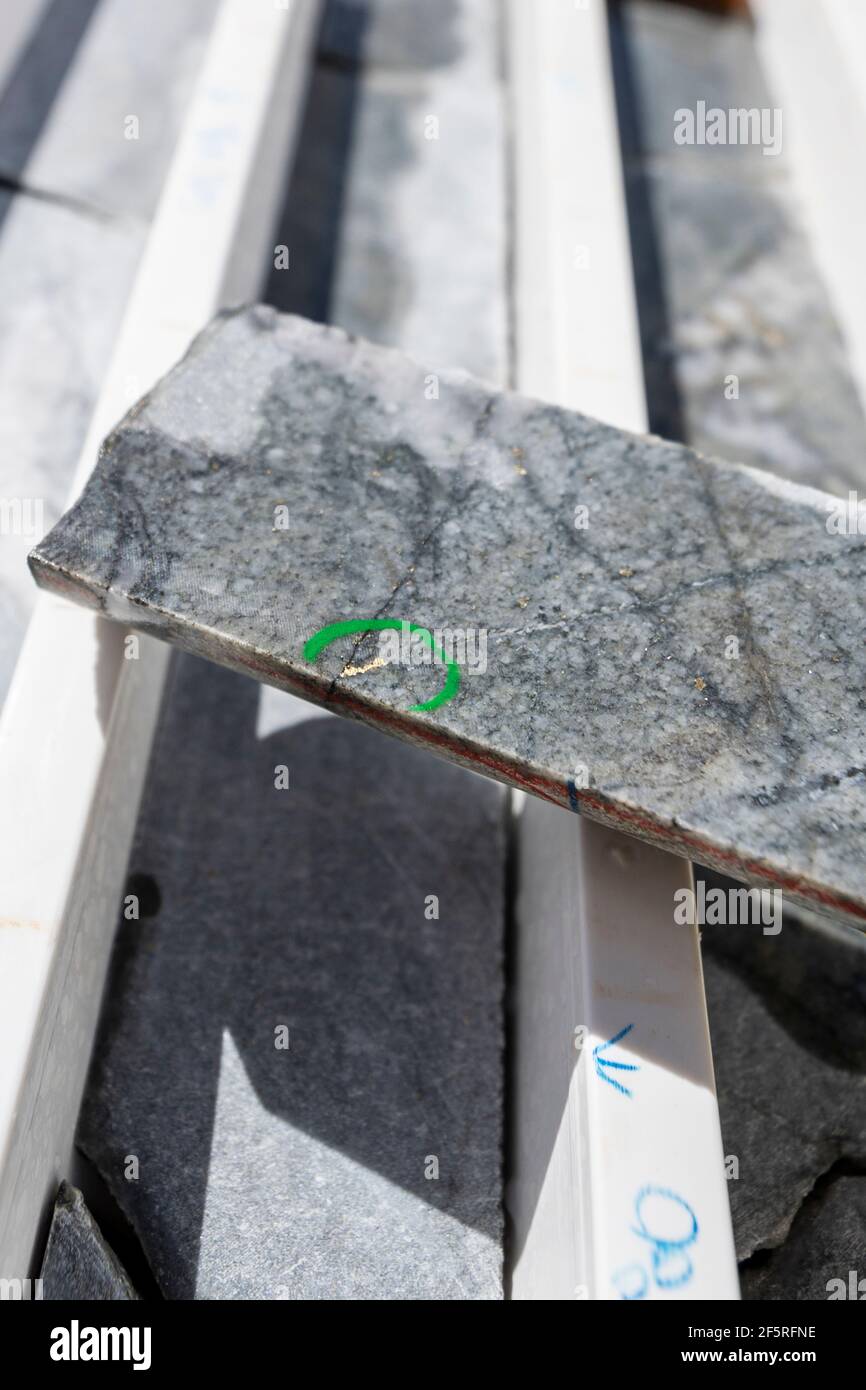 Cross-section of core sample with visible gold Stock Photo - Alamy