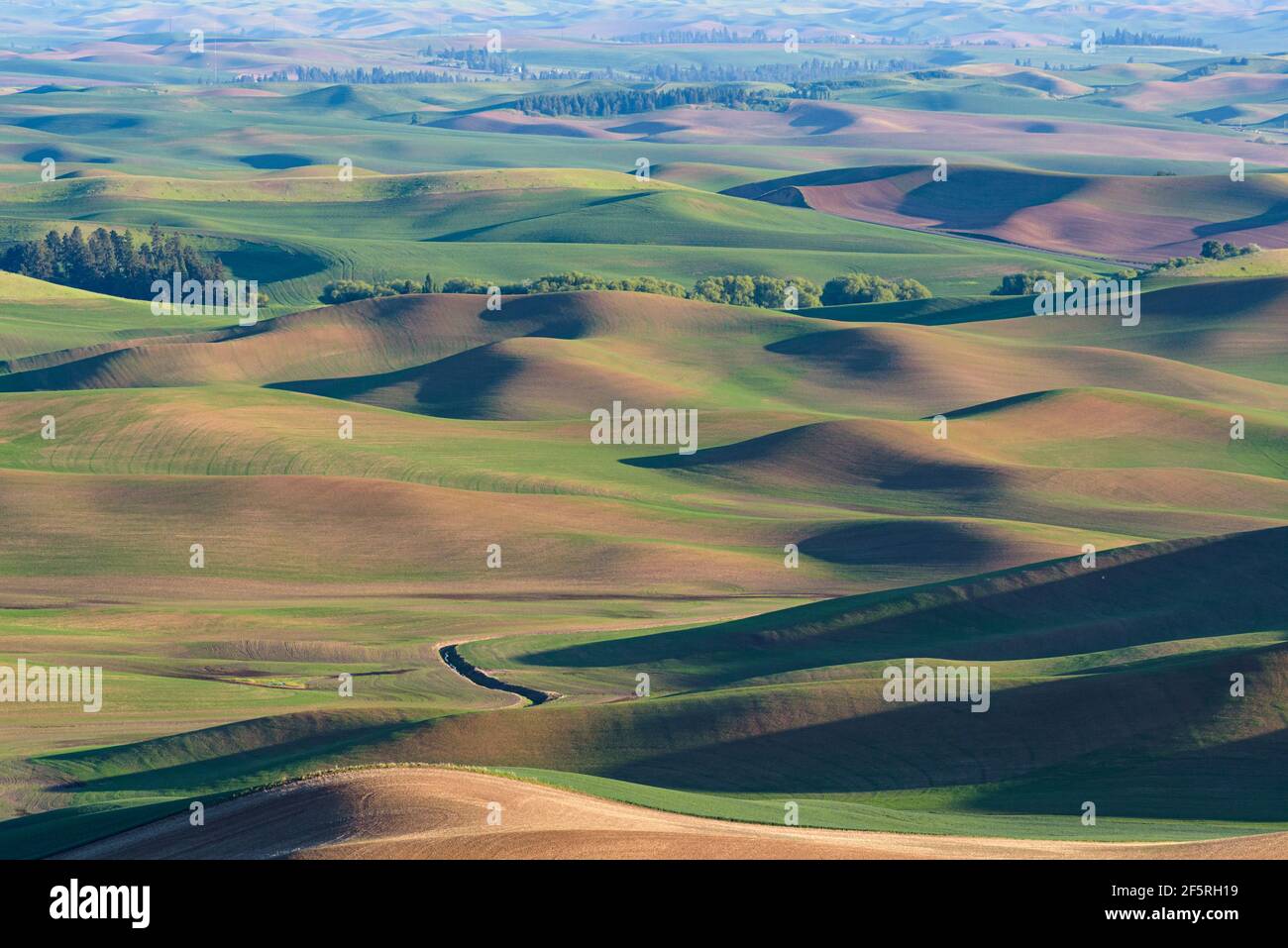 Palouse hills region hi-res stock photography and images - Alamy
