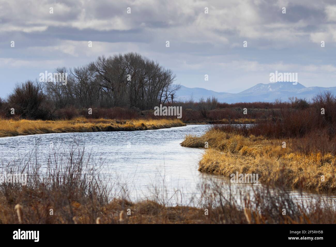 Rio Grande River in the Alamosa National WIldlife Refuge Stock Photo ...