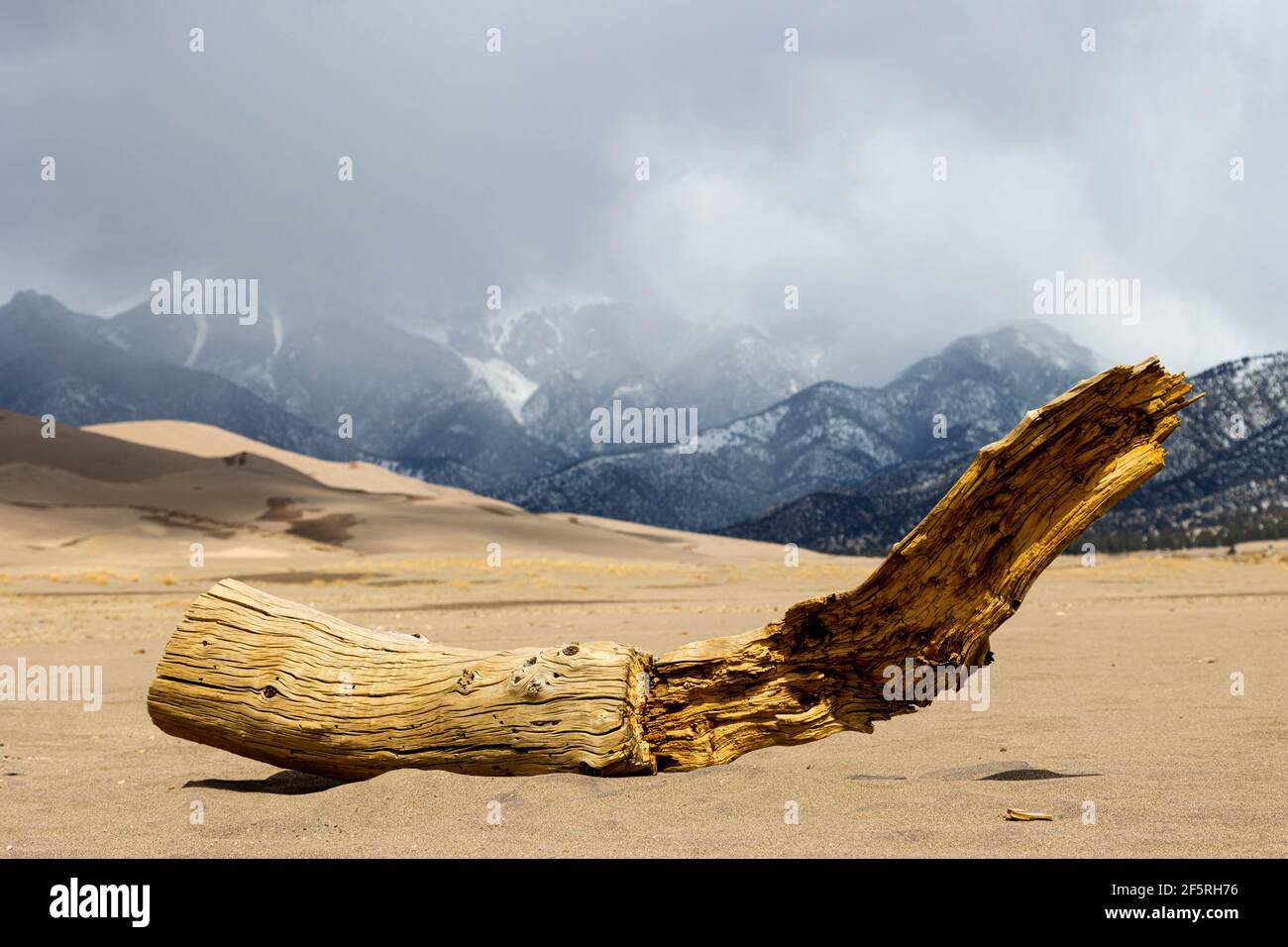 Great Sand Dunes National Park and Preserve on a beautiful March ...