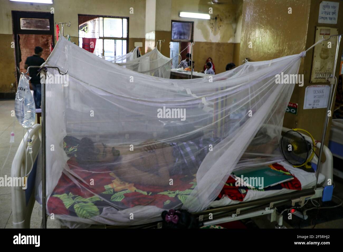 Patients with mosquito-borne viral dengue fever lying inside mosquito ...
