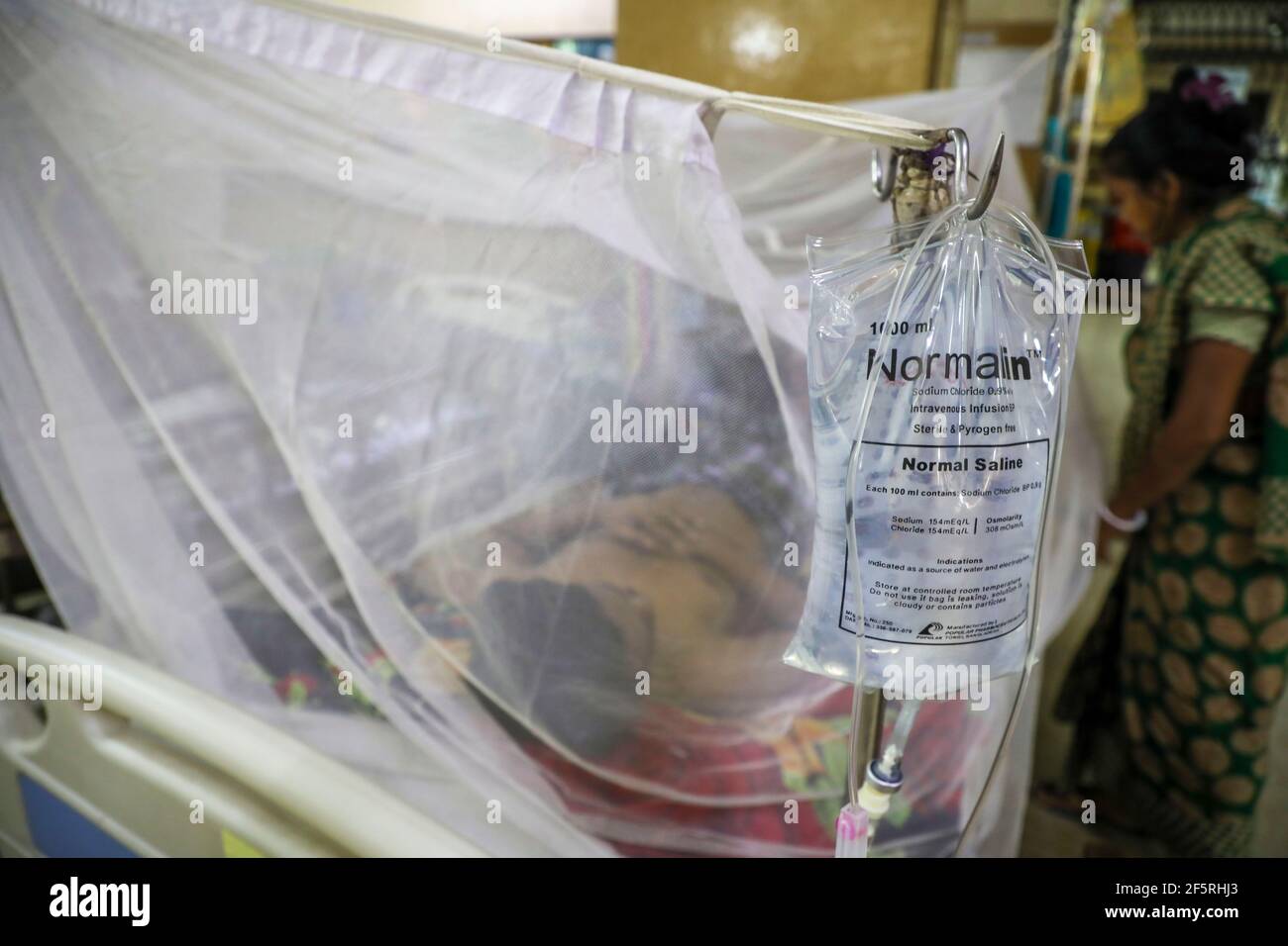 Patients with mosquito-borne viral dengue fever lying inside mosquito ...