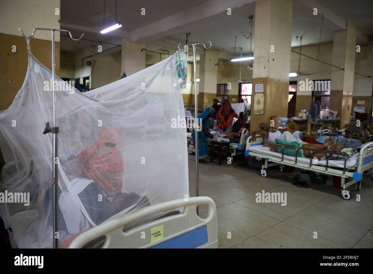 Patients with mosquito-borne viral dengue fever lying inside mosquito ...