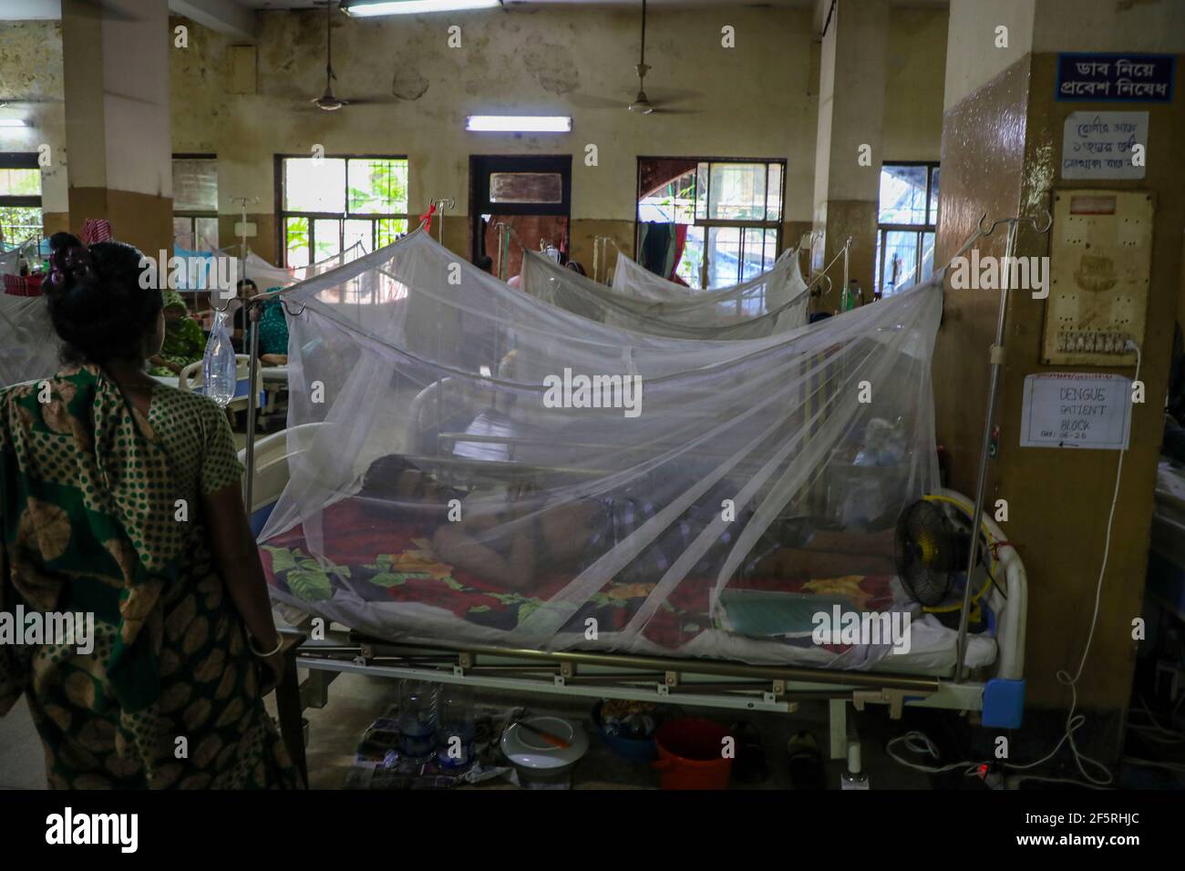Patients with mosquito-borne viral dengue fever lying inside mosquito ...