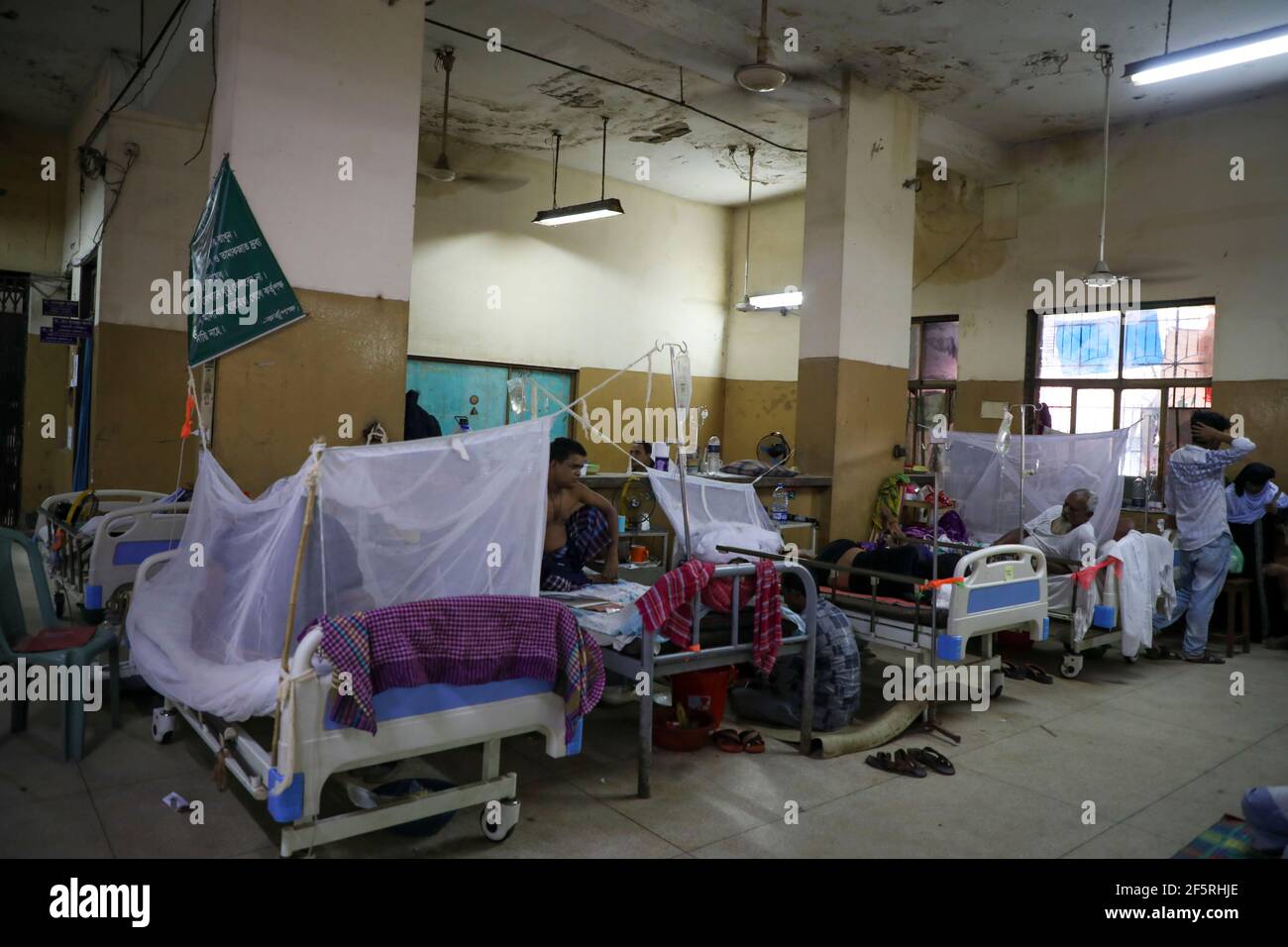 Patients with mosquito-borne viral dengue fever lying inside mosquito ...