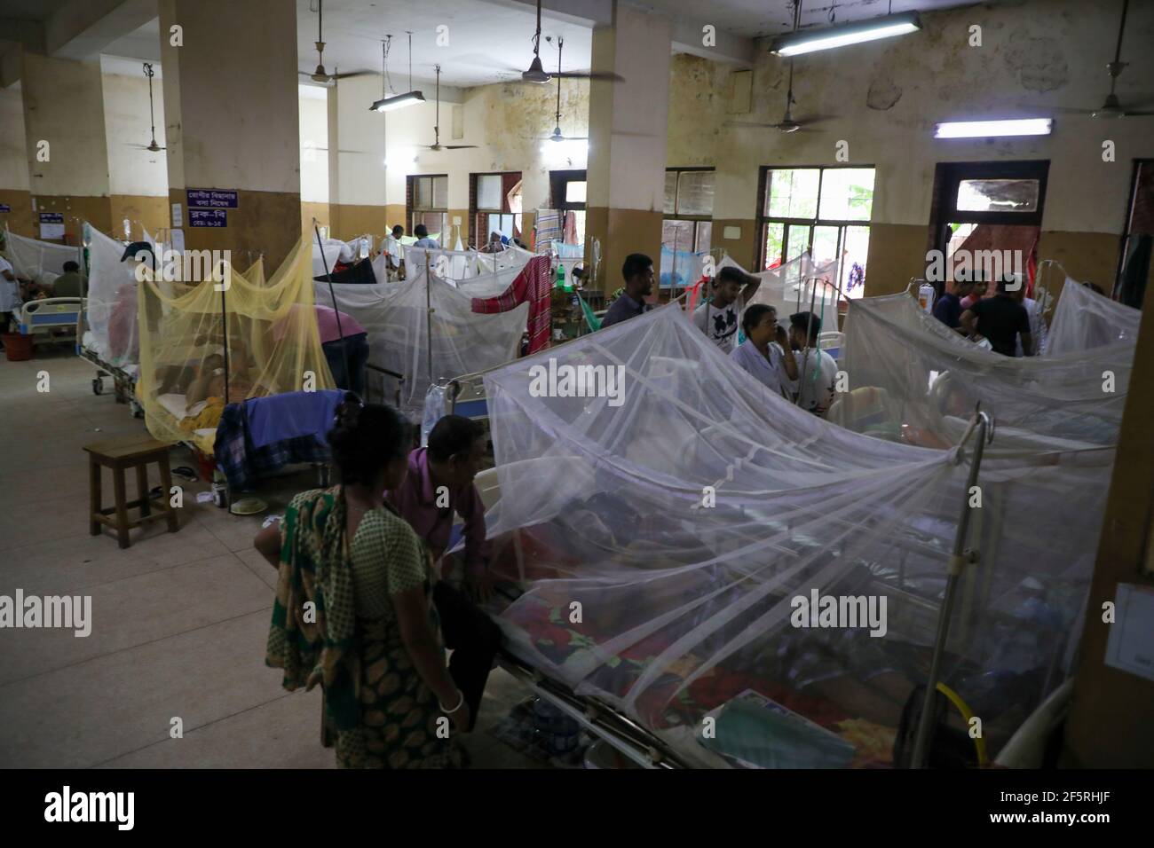 Patients with mosquito-borne viral dengue fever lying inside mosquito ...
